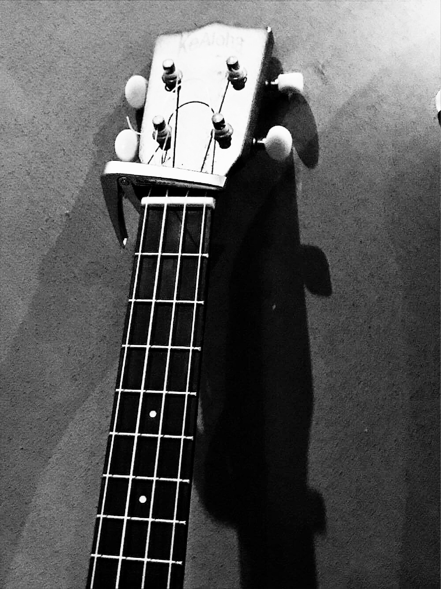 Music: In the Shadows (2): Black and White Photographic Print