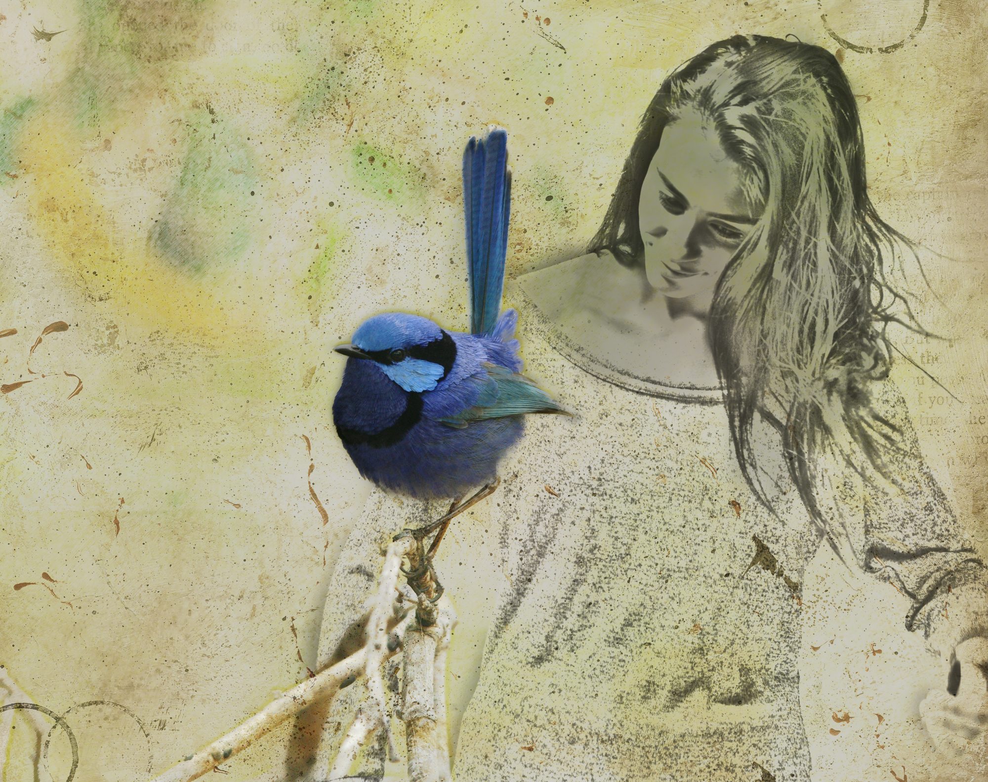 Lady and wren Ltd Ed Print - Art Lovers Australia