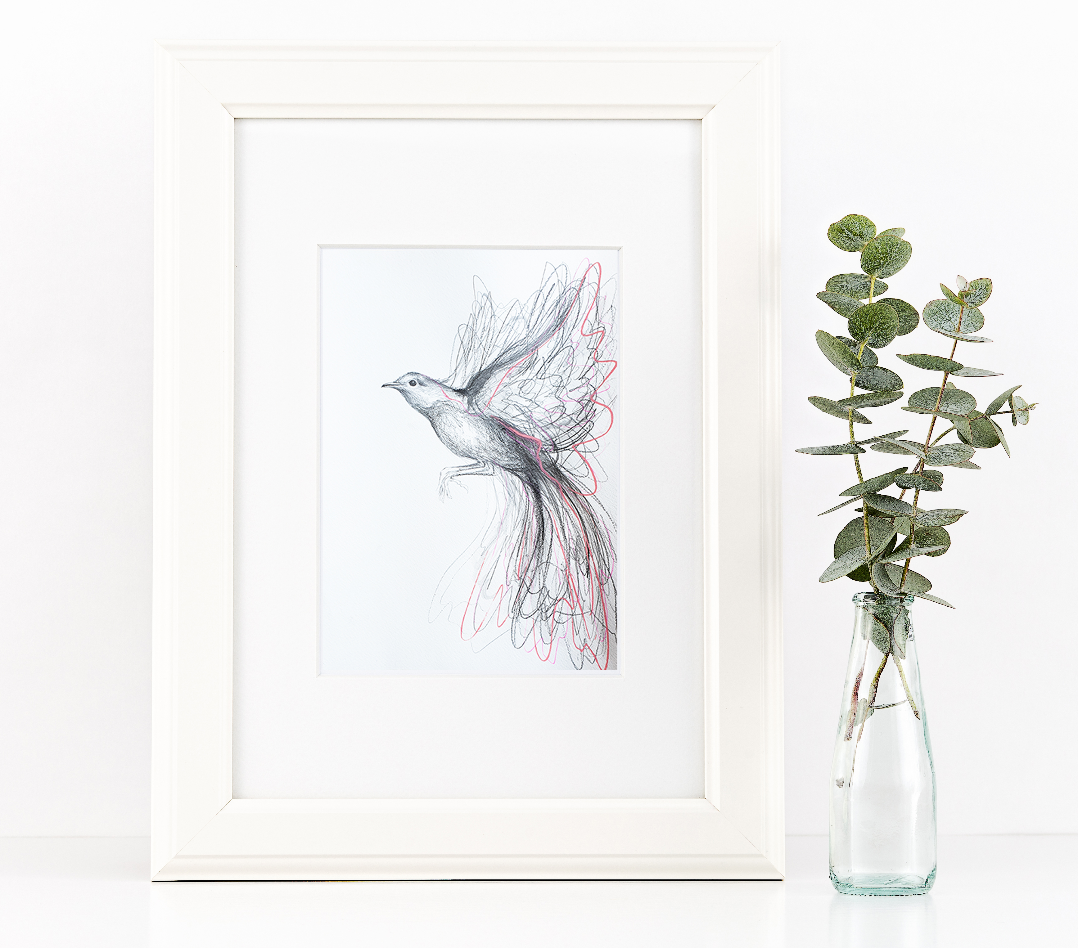 Robin Takes Flight | Original Bird Drawing Art | Art Lovers Australia