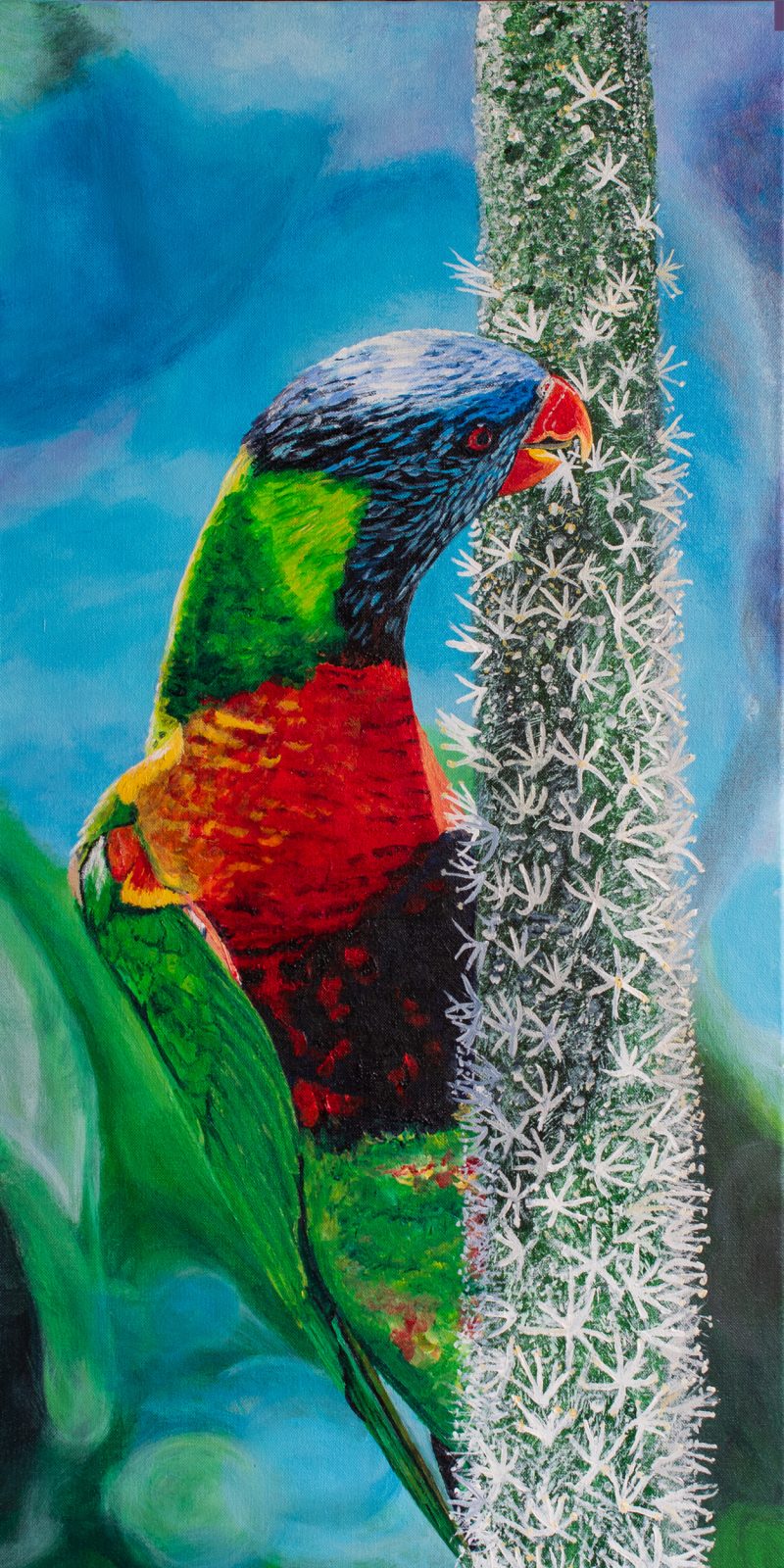 Balga Feeding Rainbows 2 - Art Lovers Australia