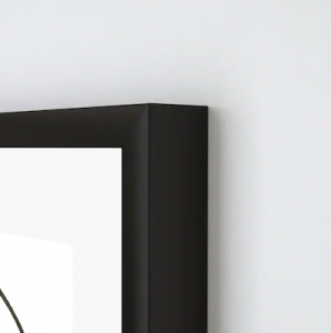 TrueMotion Ravenous Cockatoo II - Art Lovers Australia