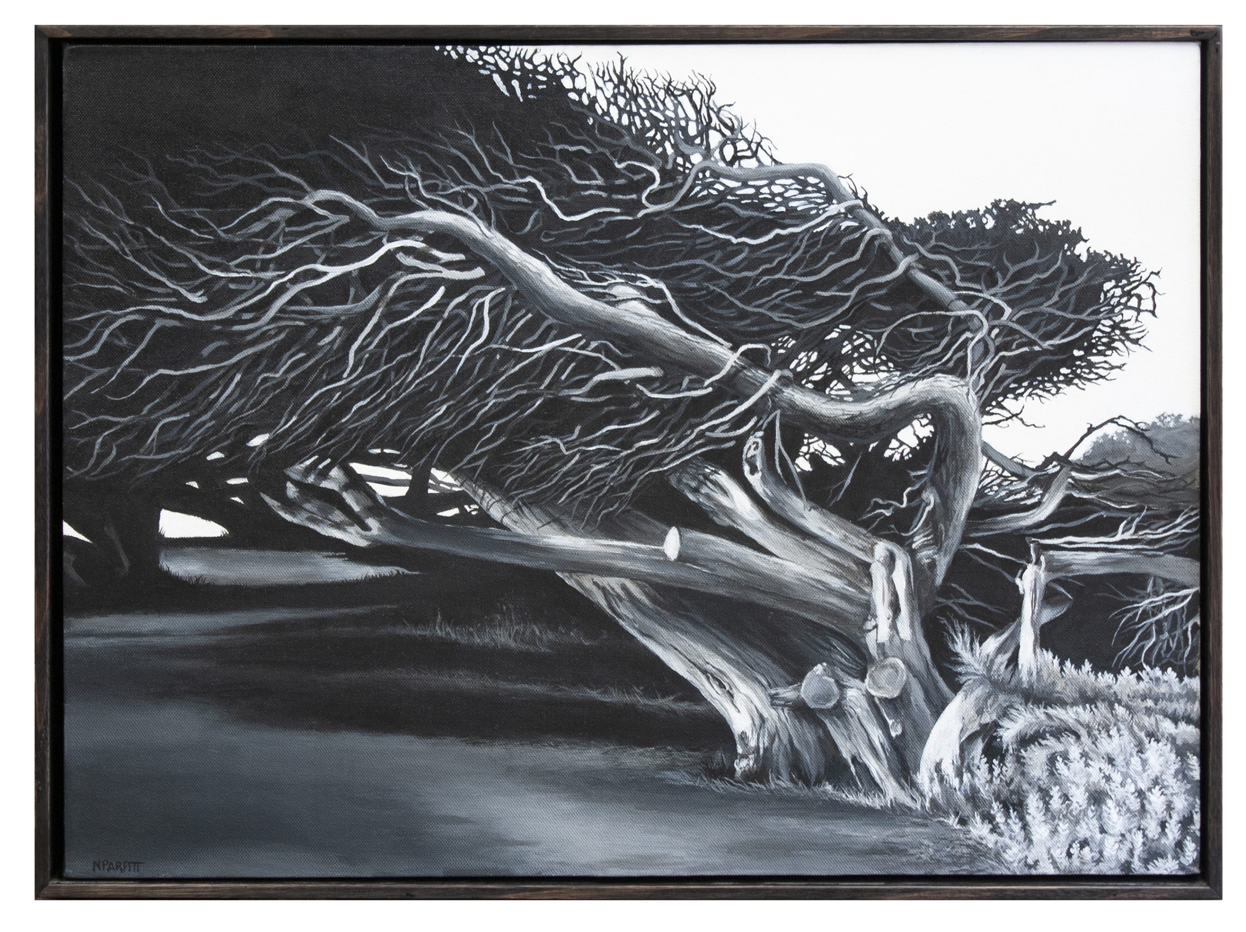 Windswept - Art Lovers Australia