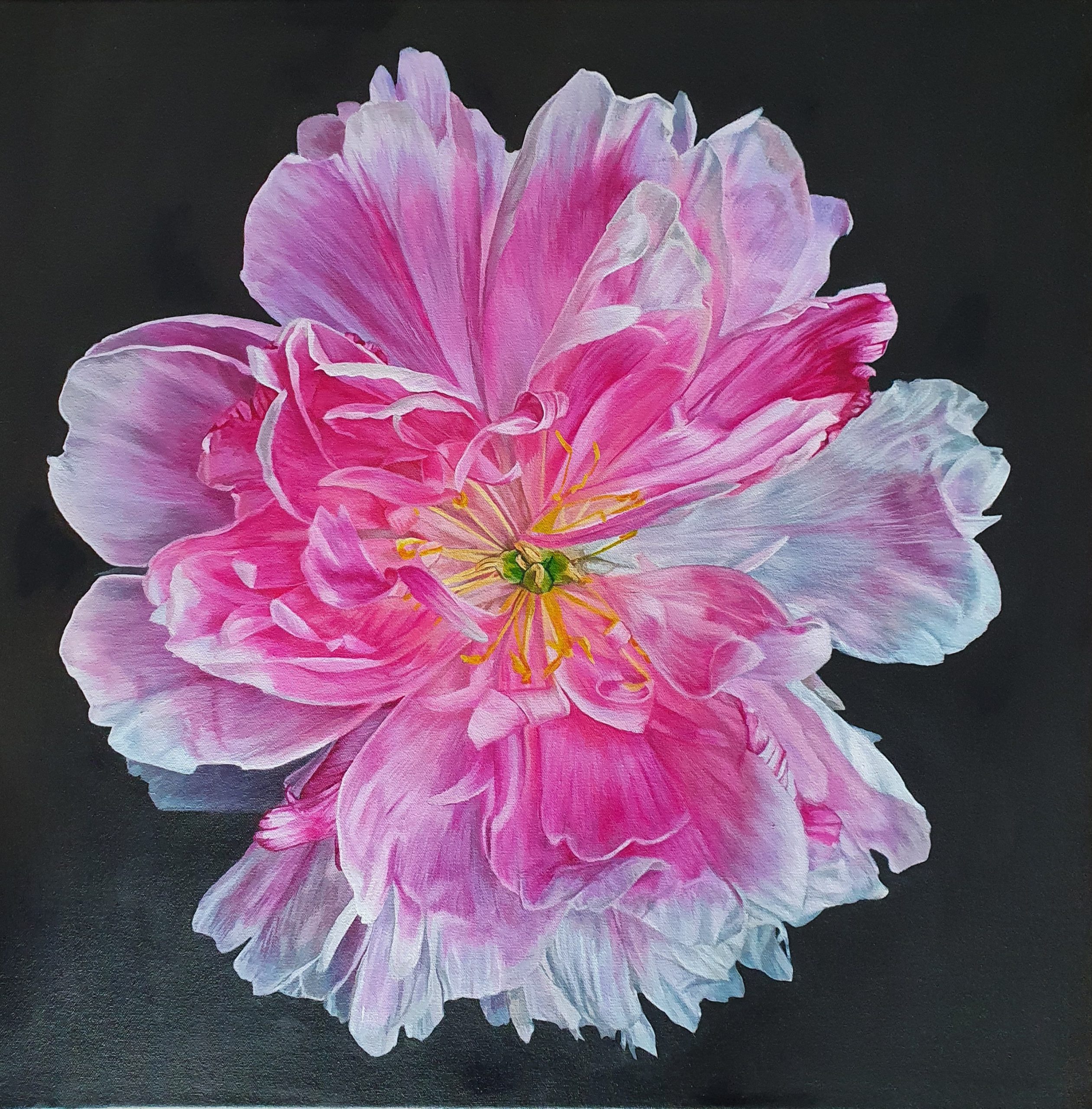 Gracious - Art Lovers Australia