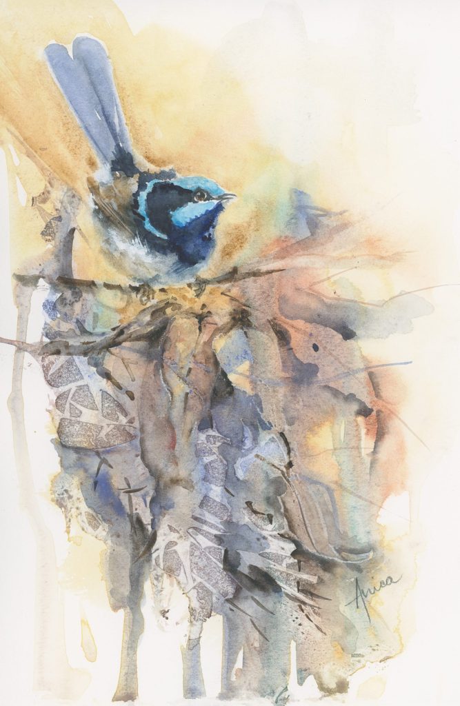 Blue Wren in Twigs and Leaves - Art Lovers Australia