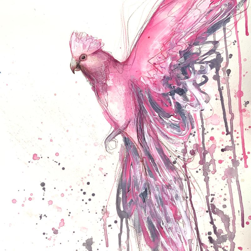 Galah Spirit - Art Lovers Australia