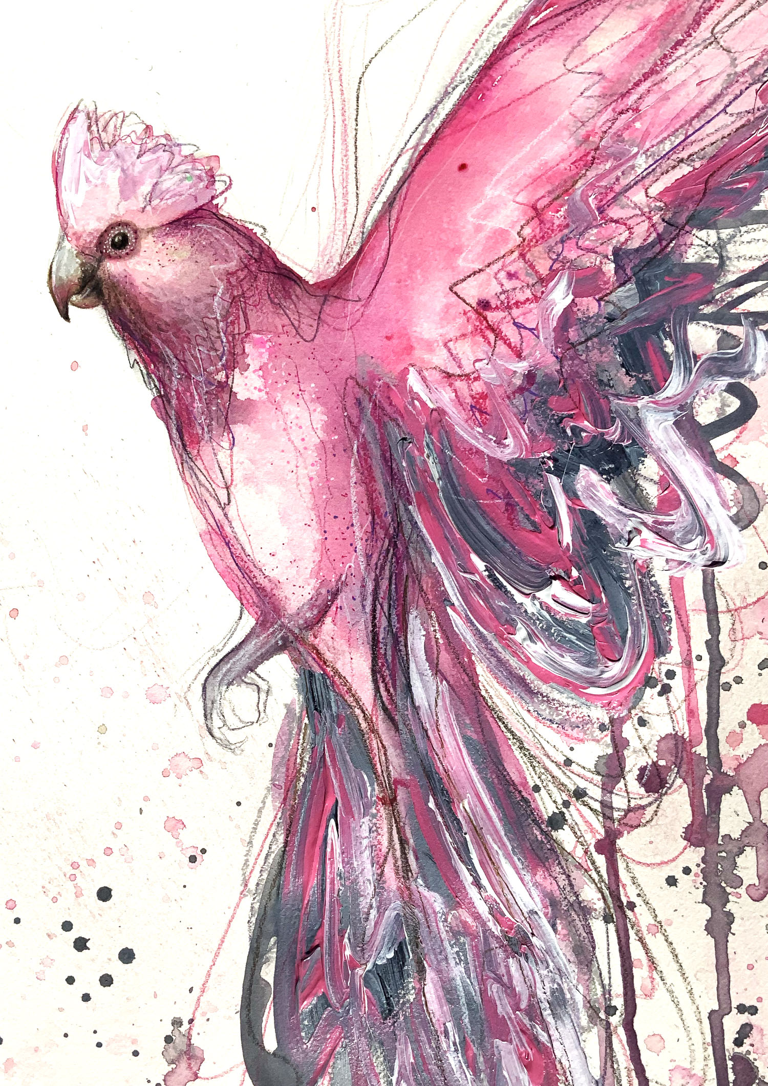 Galah Spirit - Art Lovers Australia