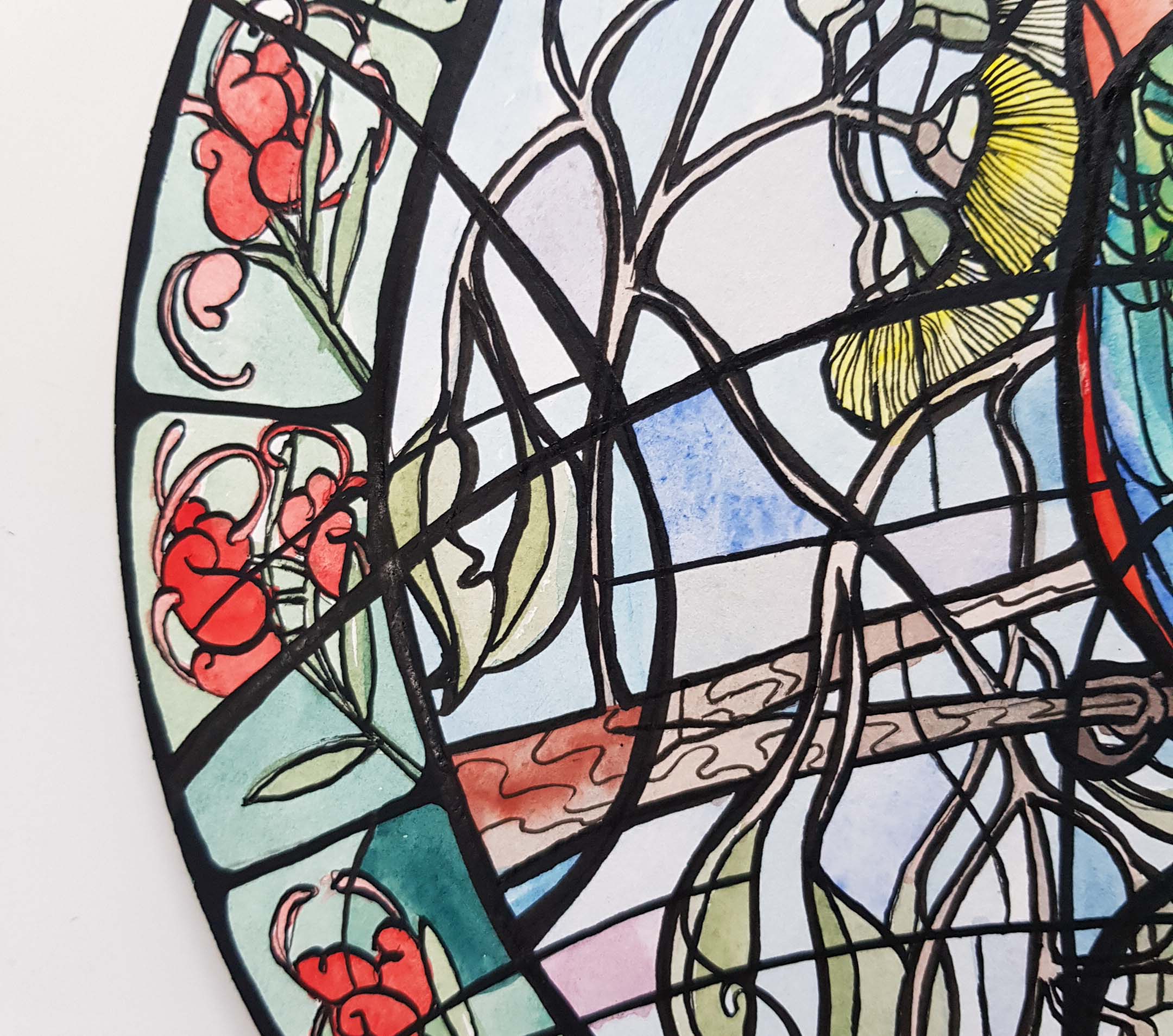 Rosella in the Round - Art Lovers Australia