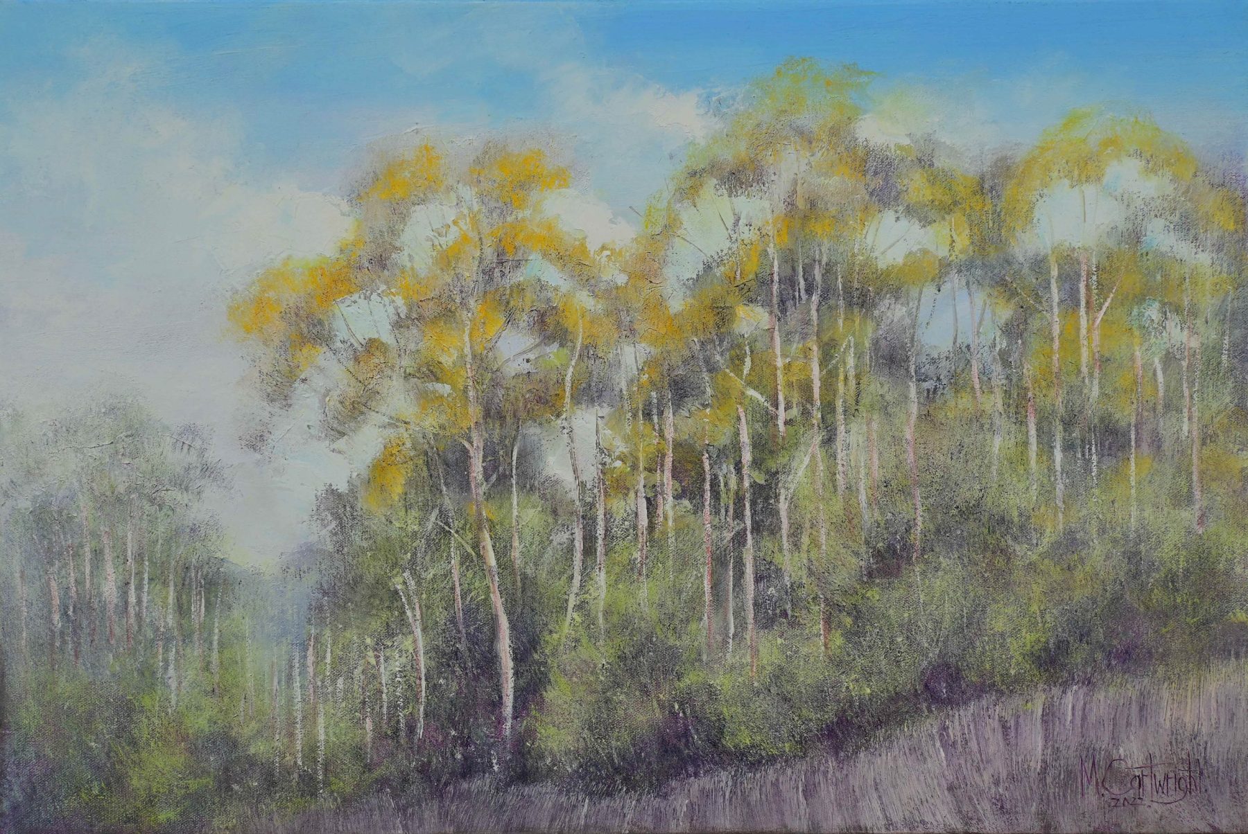 Karri Tree Forest - Art Lovers Australia