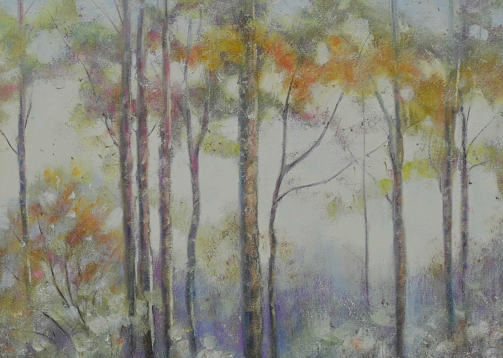 Karri Forest - Art Lovers Australia