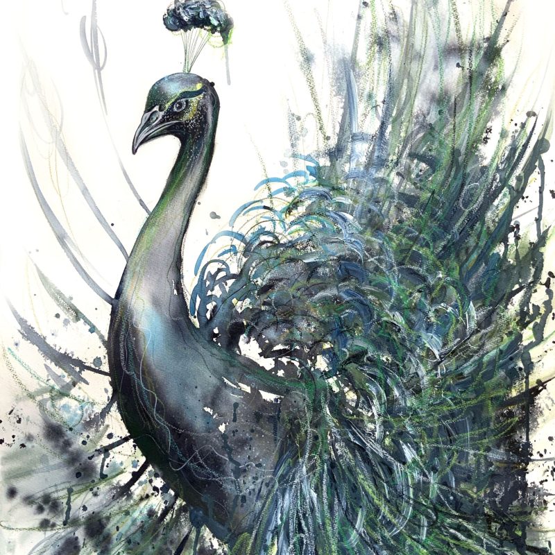 Peacock Protection Spirit - Art Lovers Australia