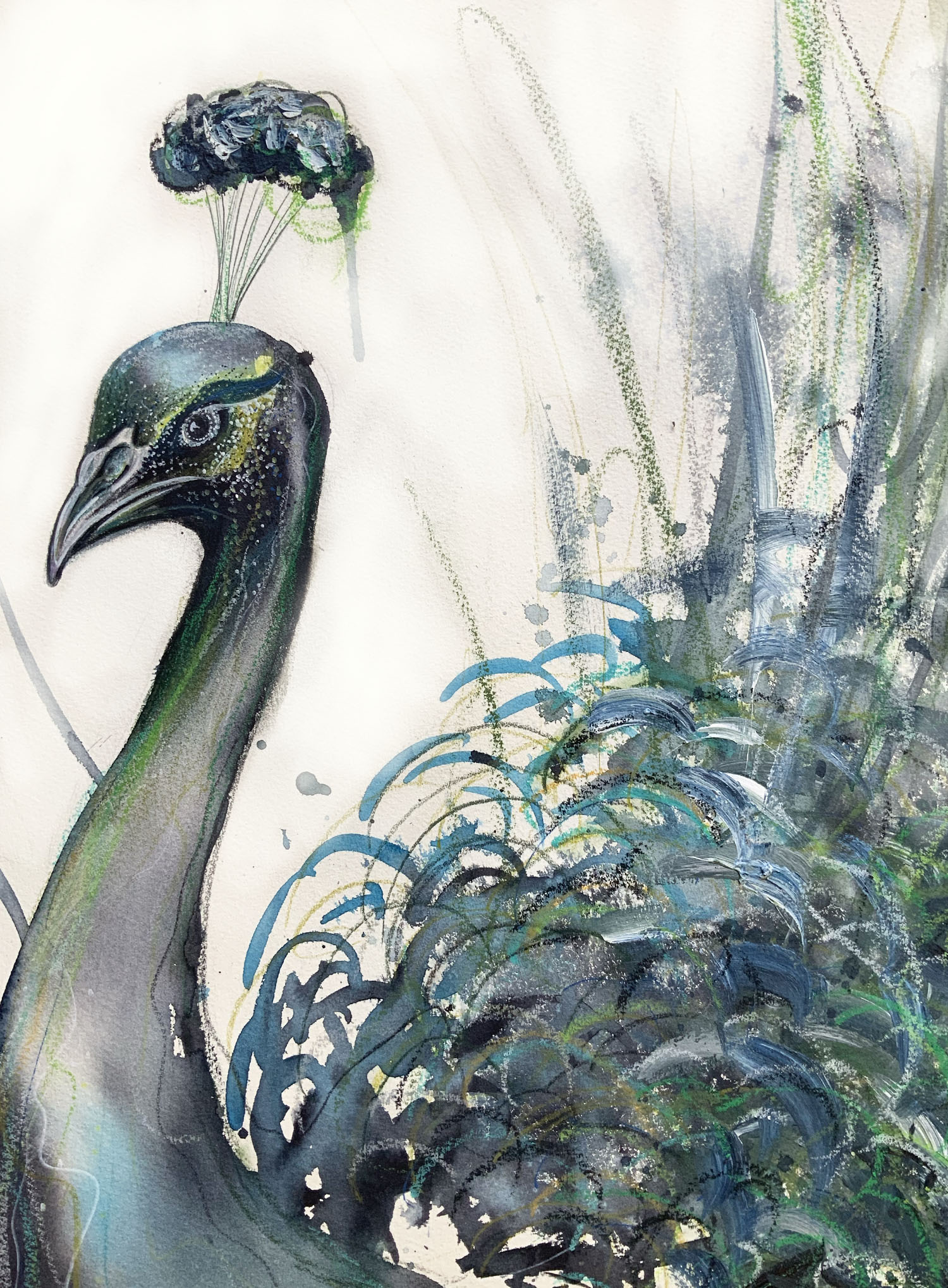 Peacock Protection Spirit - Art Lovers Australia