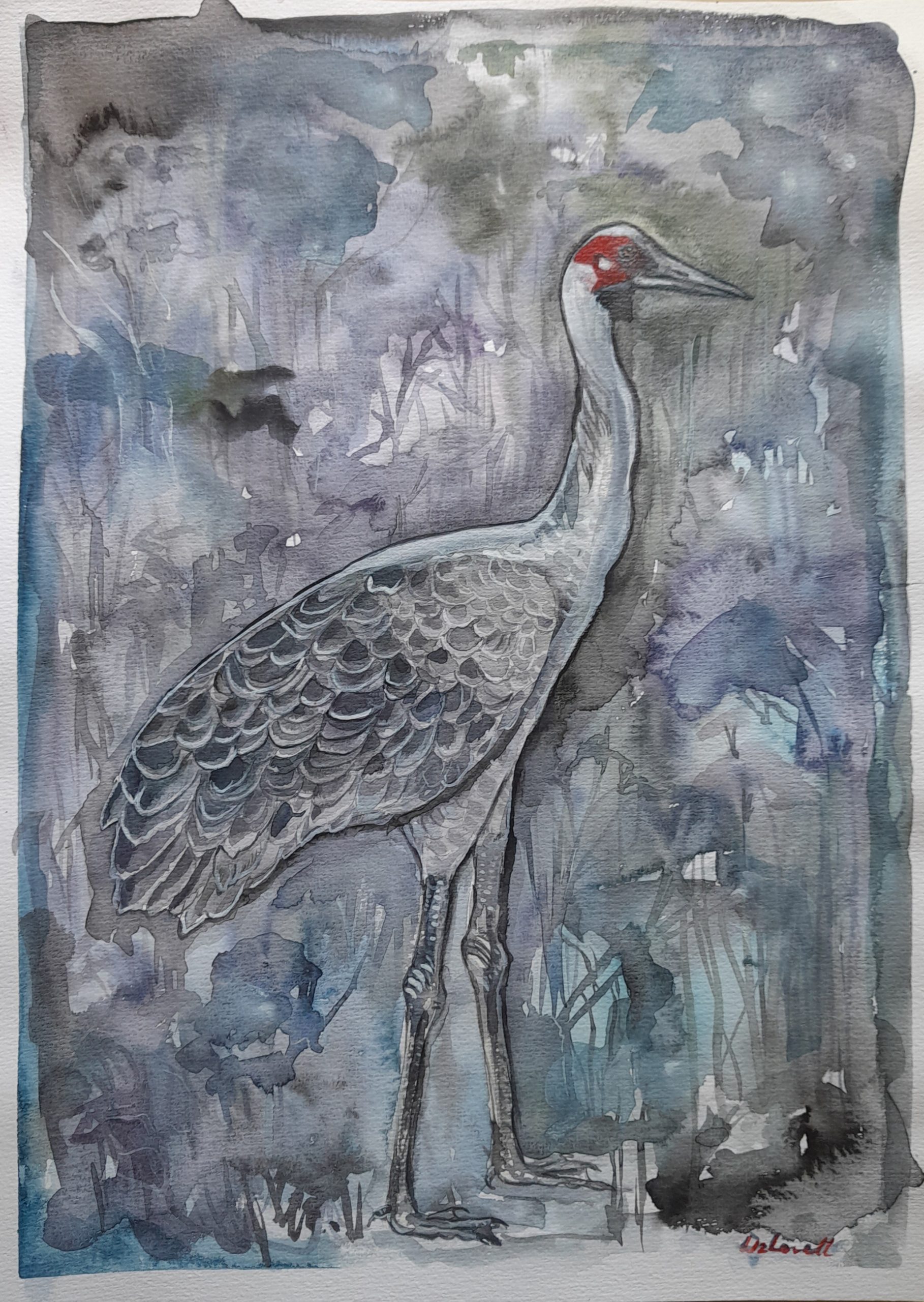 Brolga Standing Tall - Art Lovers Australia