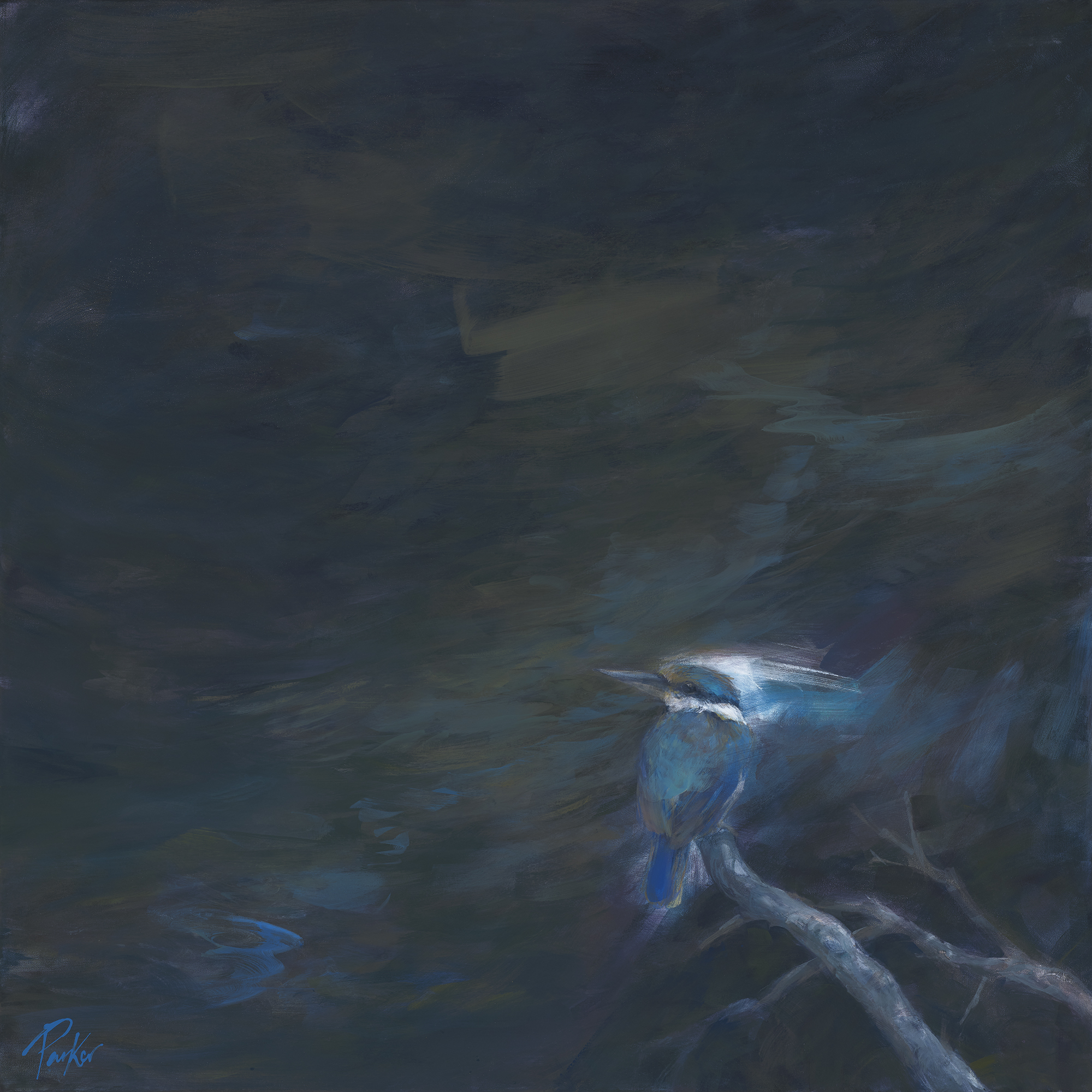 Contemplative Fisherman - Kingfisher - Australian Bird Series - Art ...