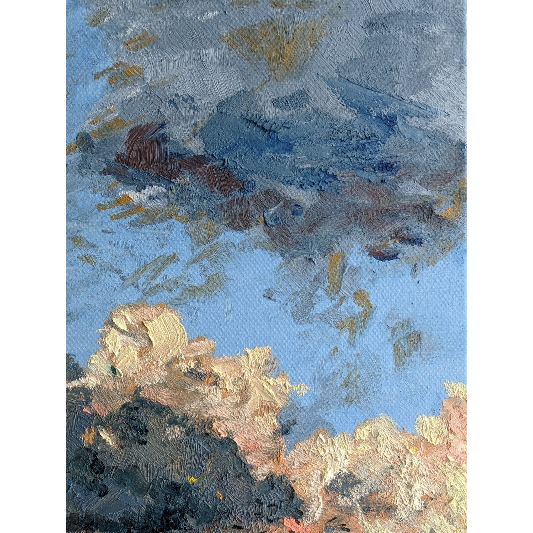 Backyard Sunset - Art Lovers Australia