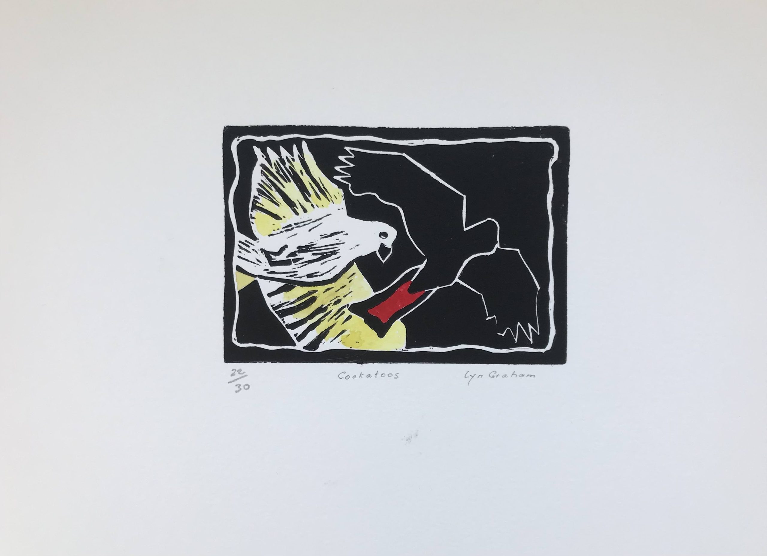 Cockatoos — Ltd Ed Print - Art Lovers Australia