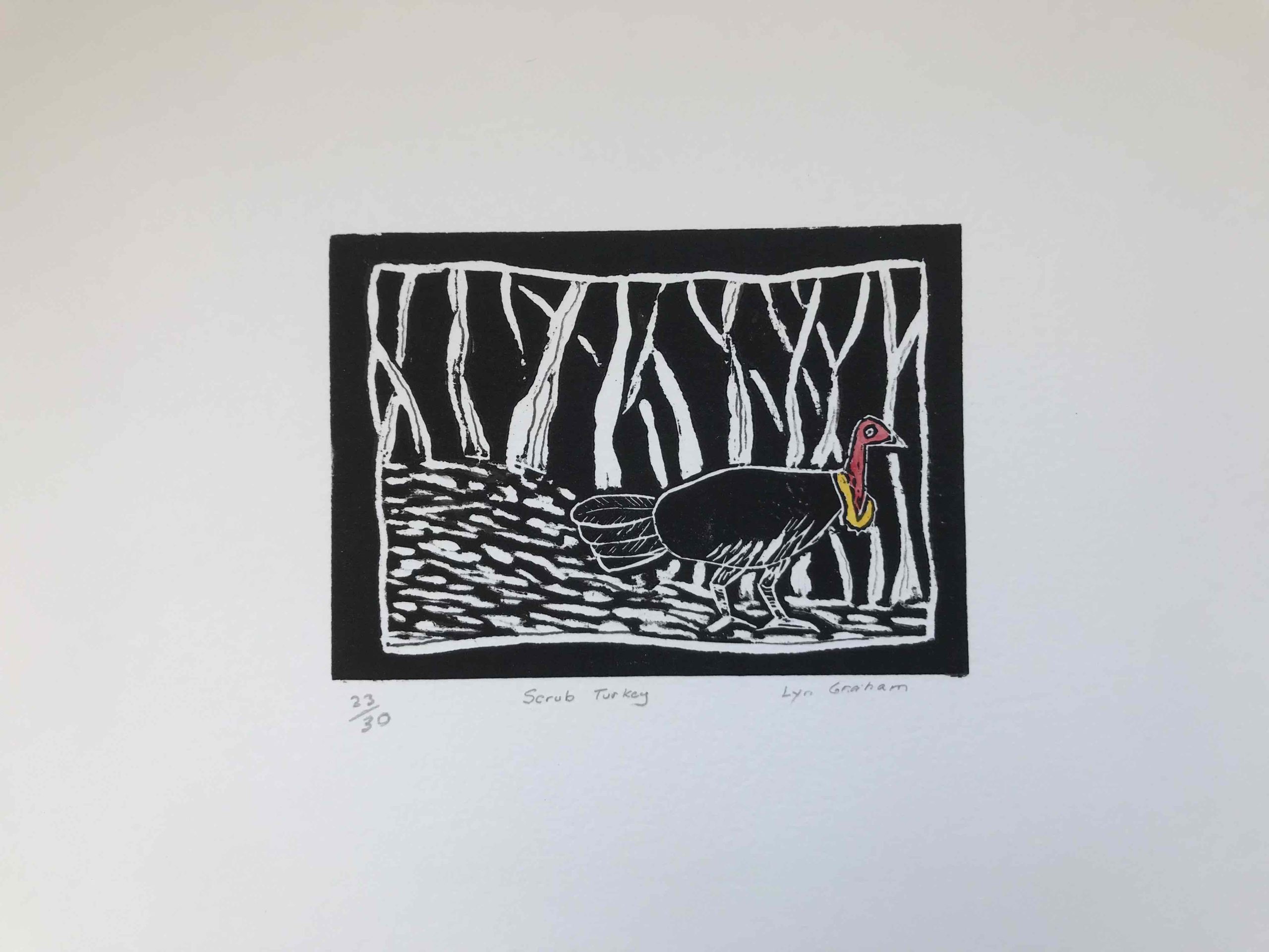 Scrub Turkey — Ltd Ed Print - Art Lovers Australia