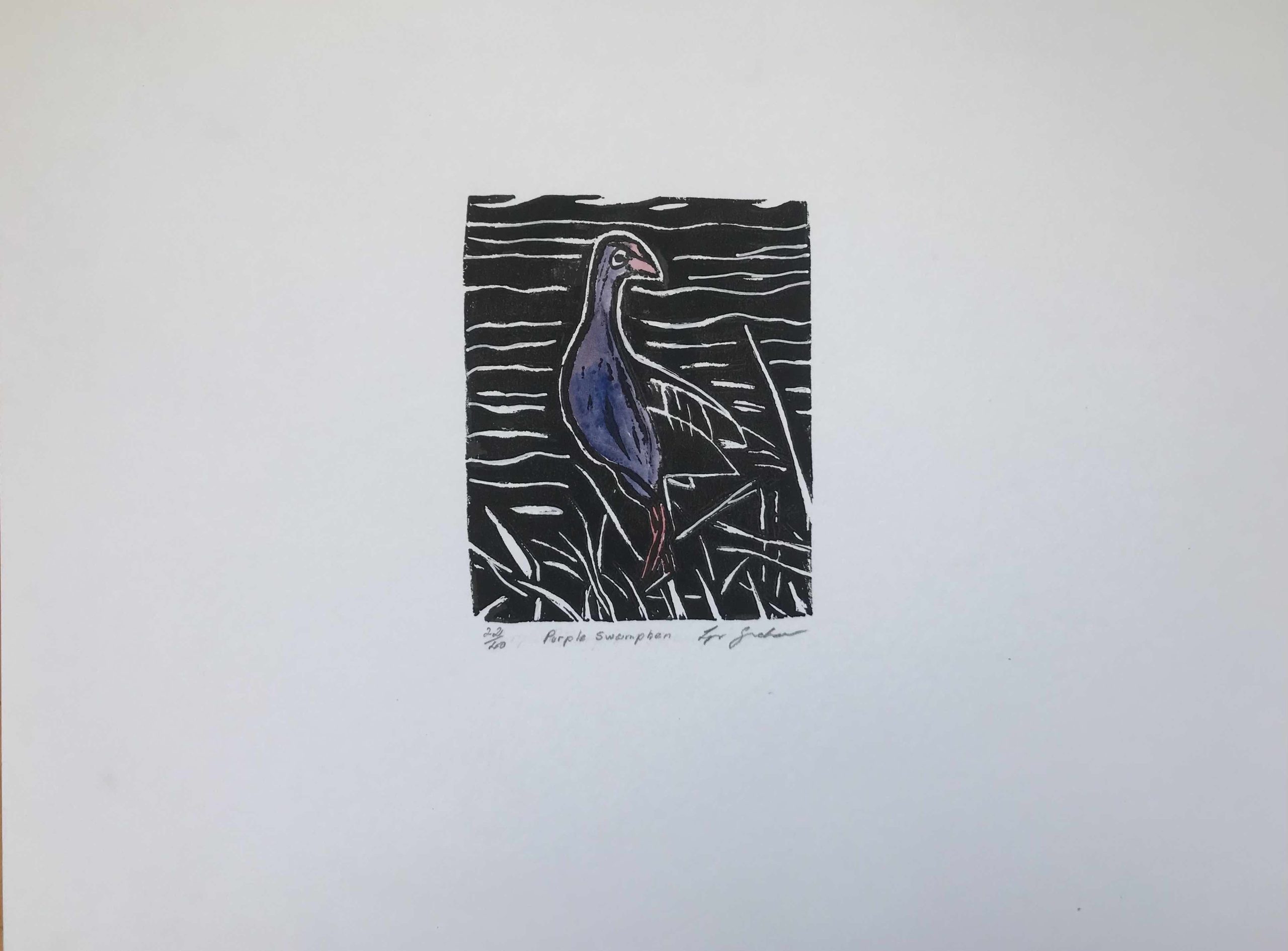 Purple Swamphen Ltd Ed Print - Art Lovers Australia