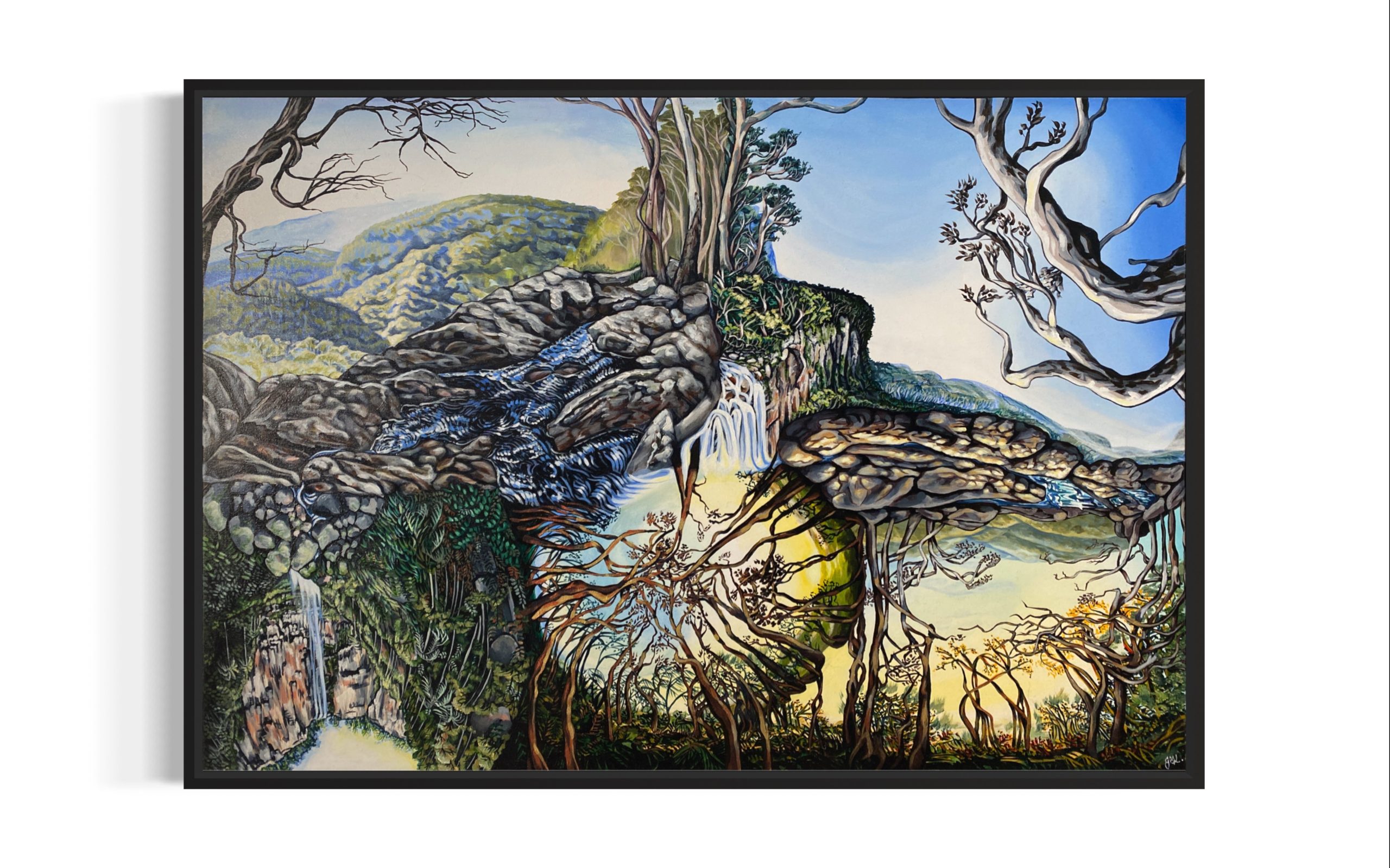 Connection Springbrook Twin Falls - Art Lovers Australia