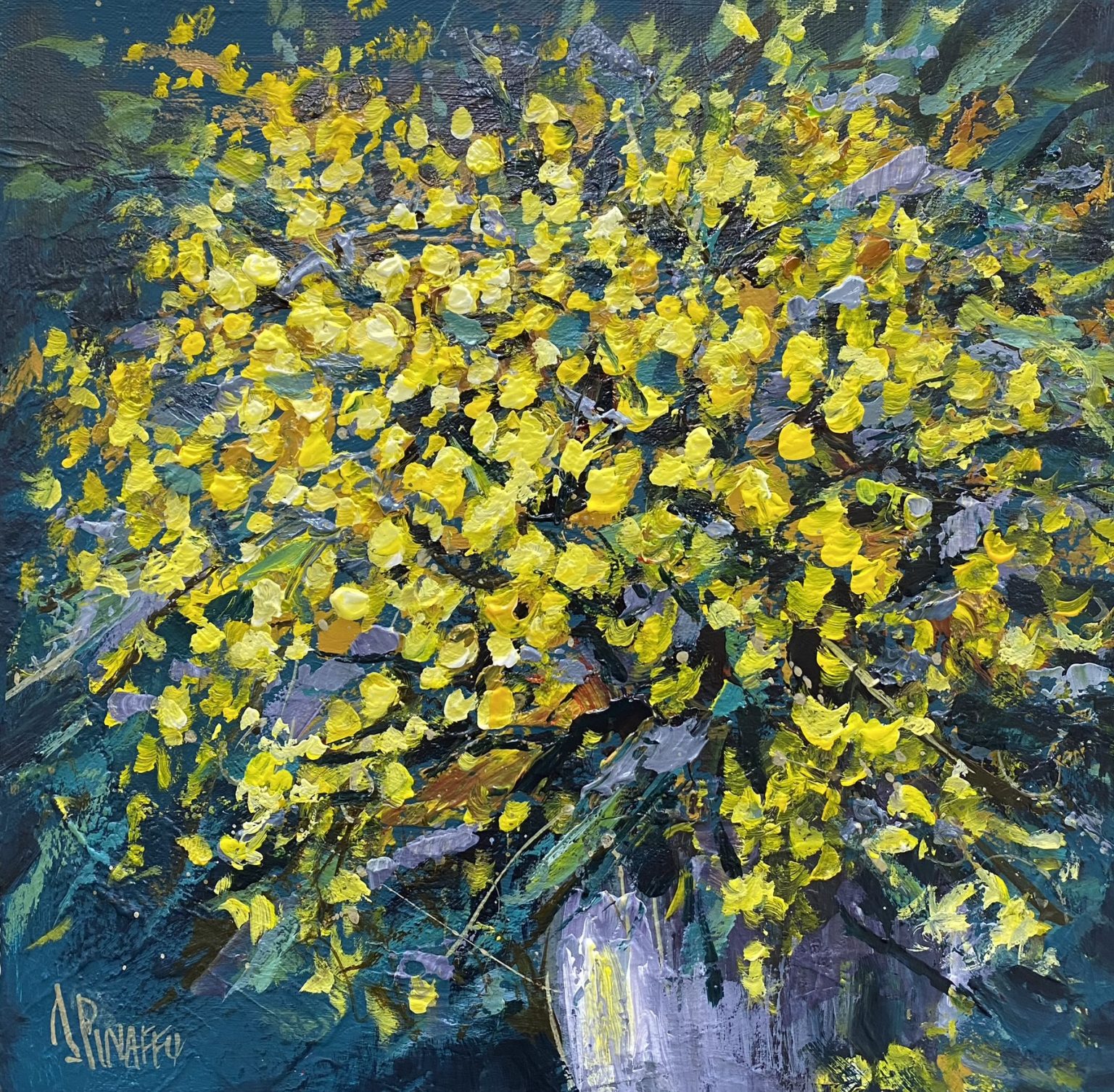 Wattles on display - Art Lovers Australia