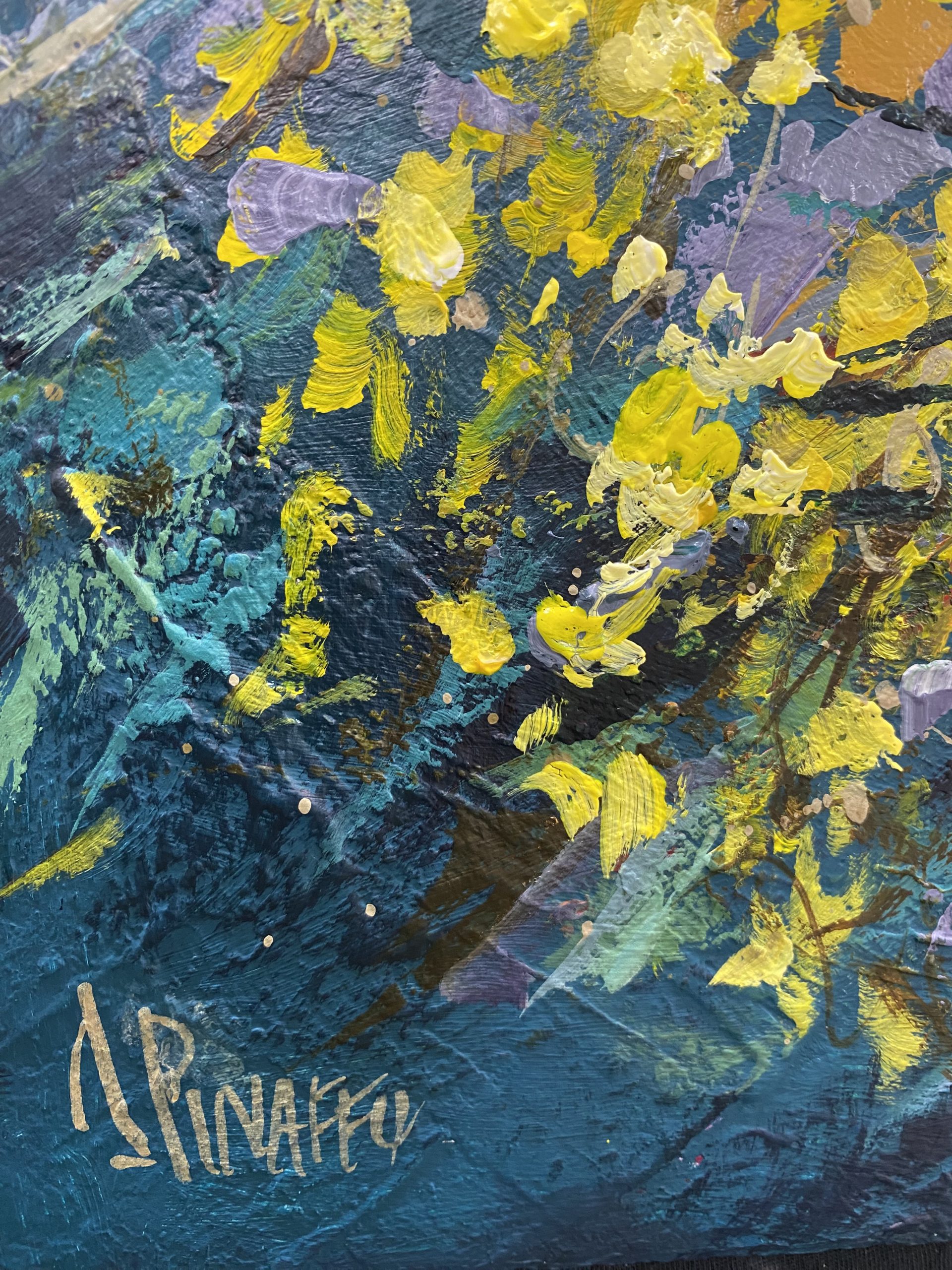 Wattles on display - Art Lovers Australia