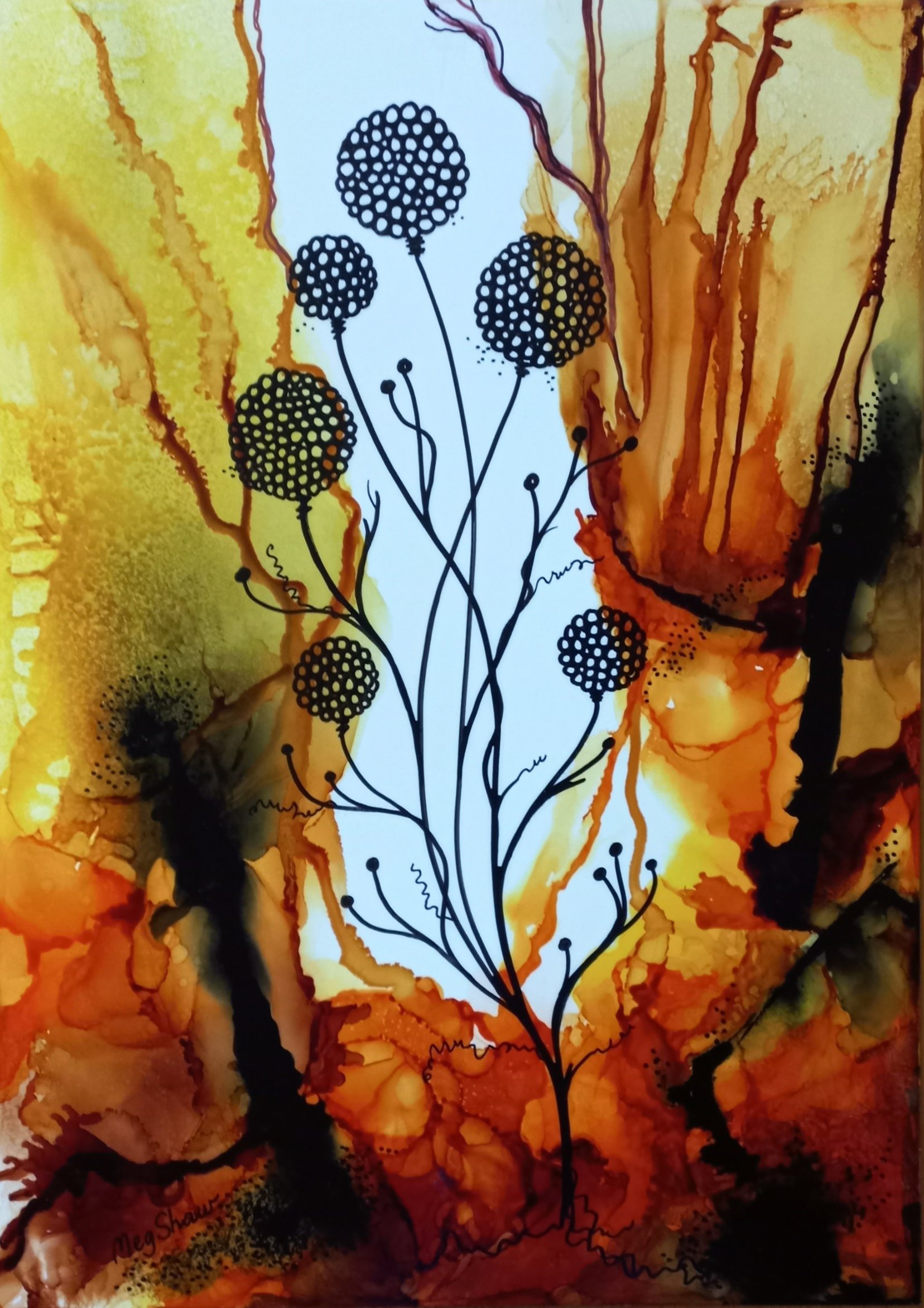 Billy Buttons #4 - Art Lovers Australia