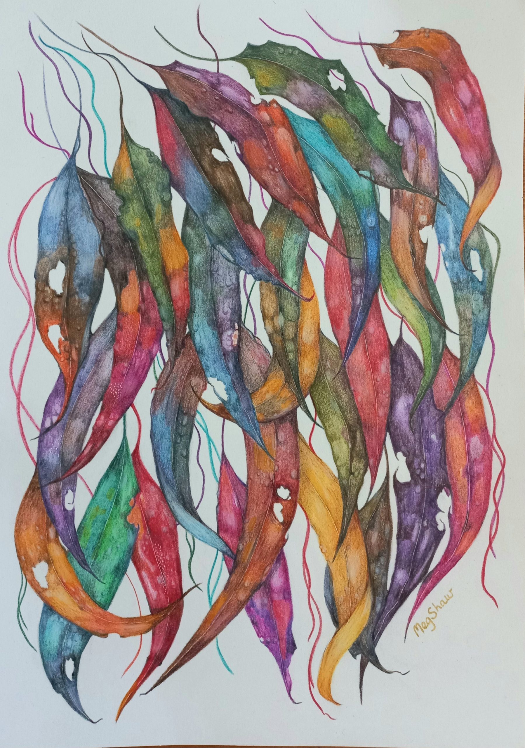 Misshapen Eucalyptus Leaves (#4) - Art Lovers Australia