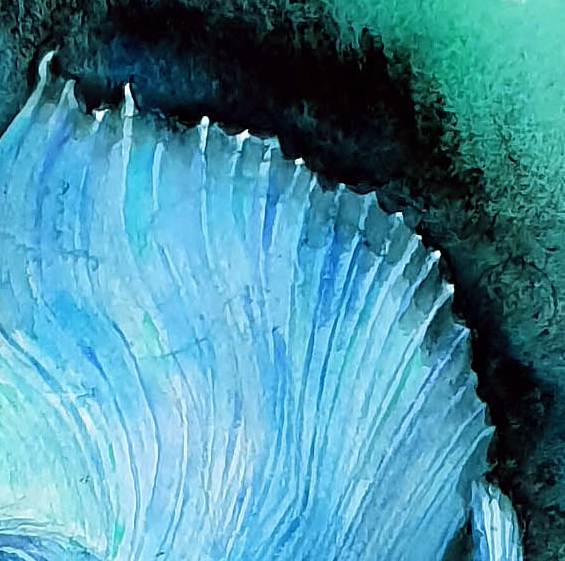 Two fish - Art Lovers Australia