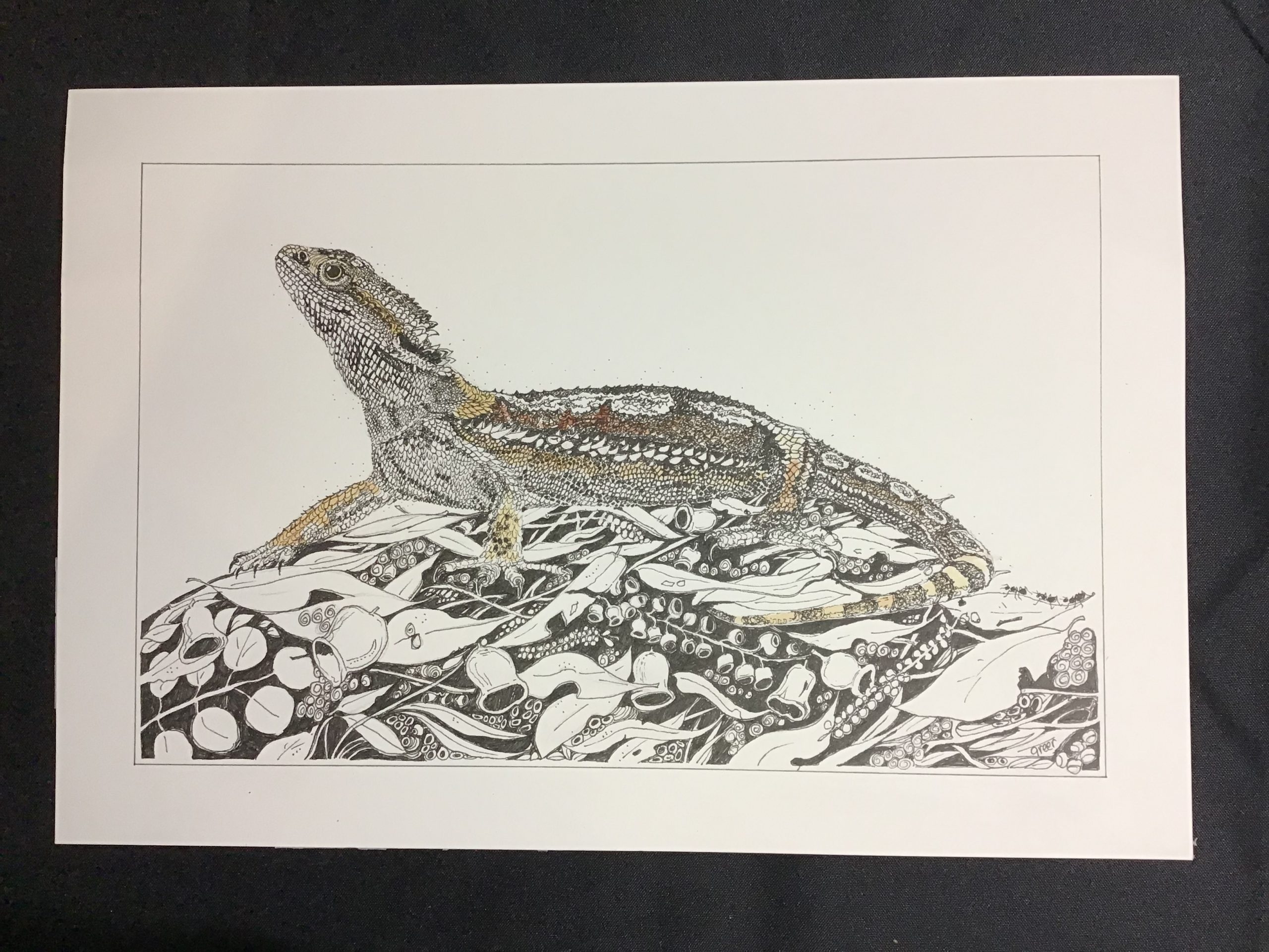 Lizard with gum nuts - Art Lovers Australia