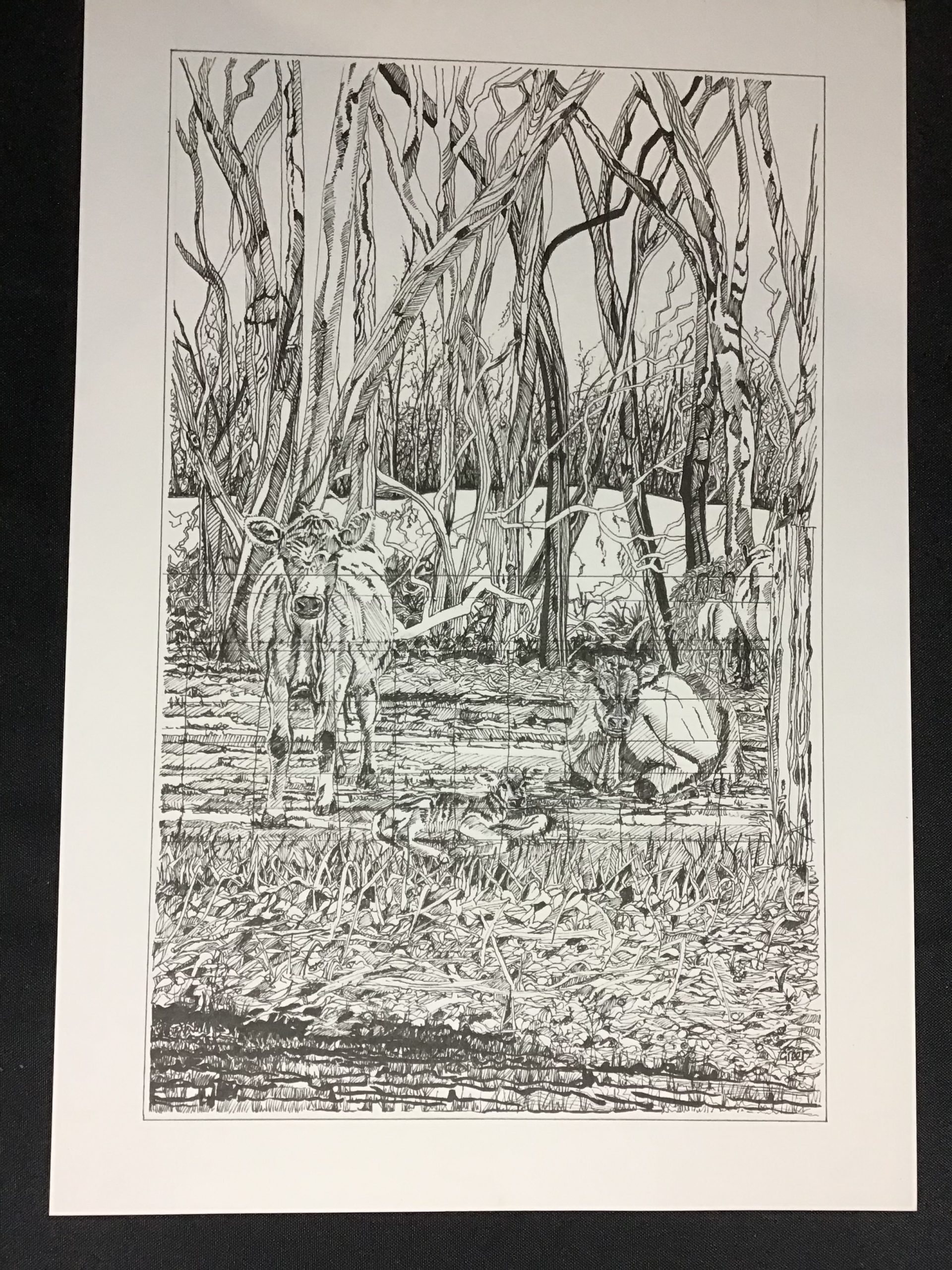 Cows in a paddock - Art Lovers Australia