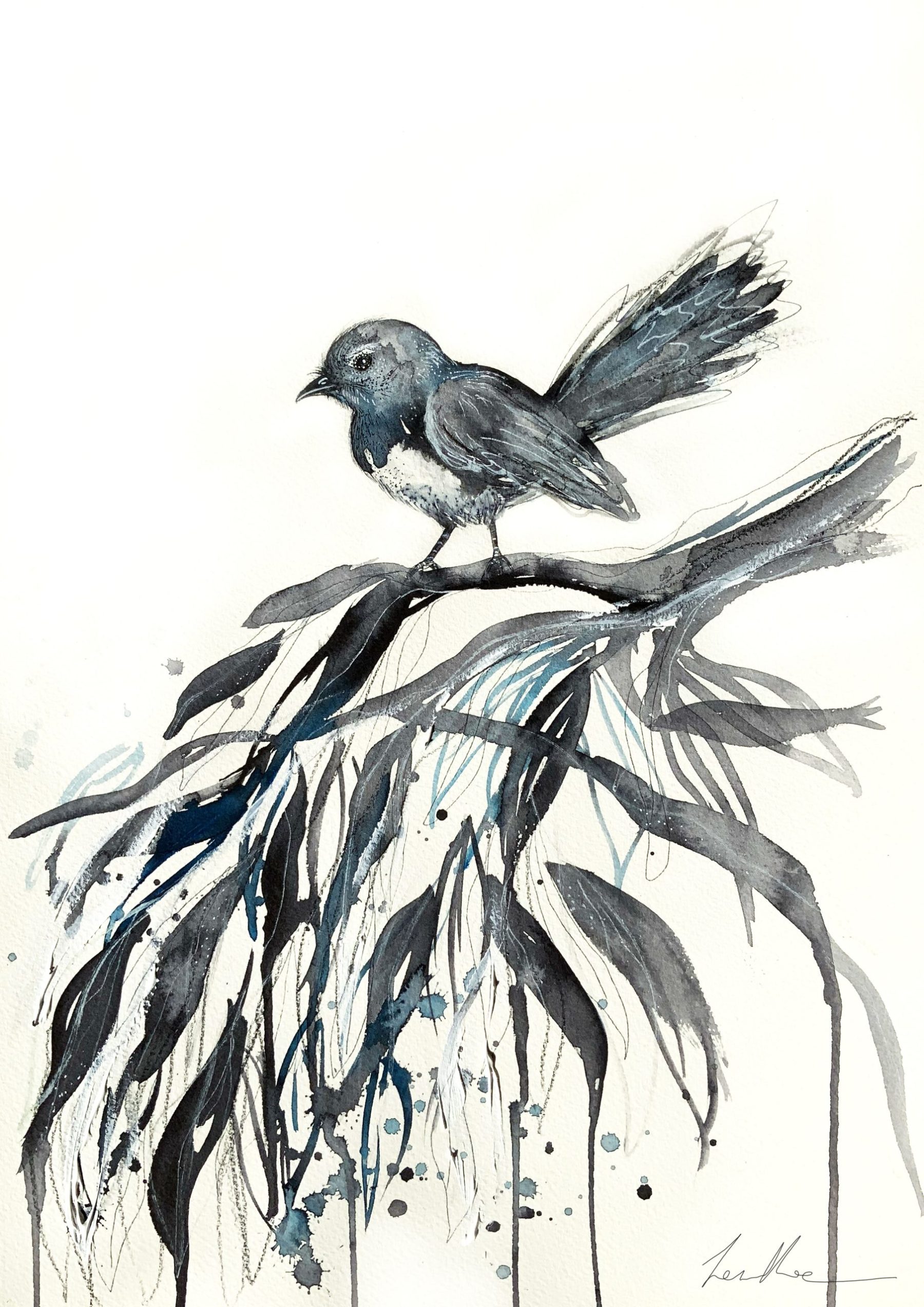 Willy Wagtail on Wander - Art Lovers Australia