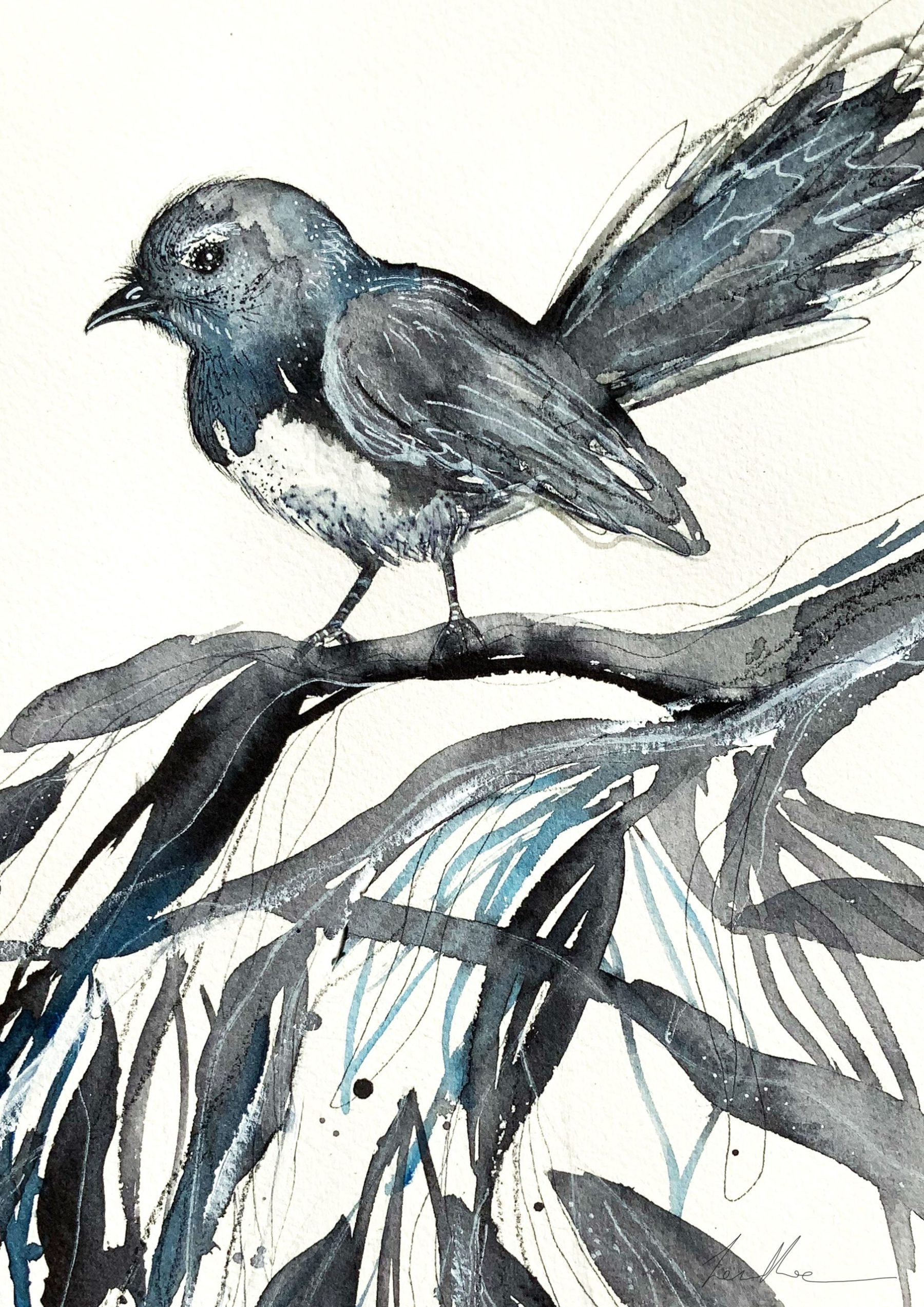 Willy Wagtail on Wander - Art Lovers Australia