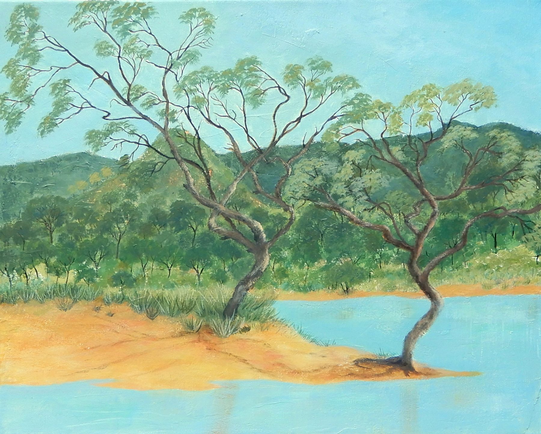 Clay Pan Trees - Art Lovers Australia