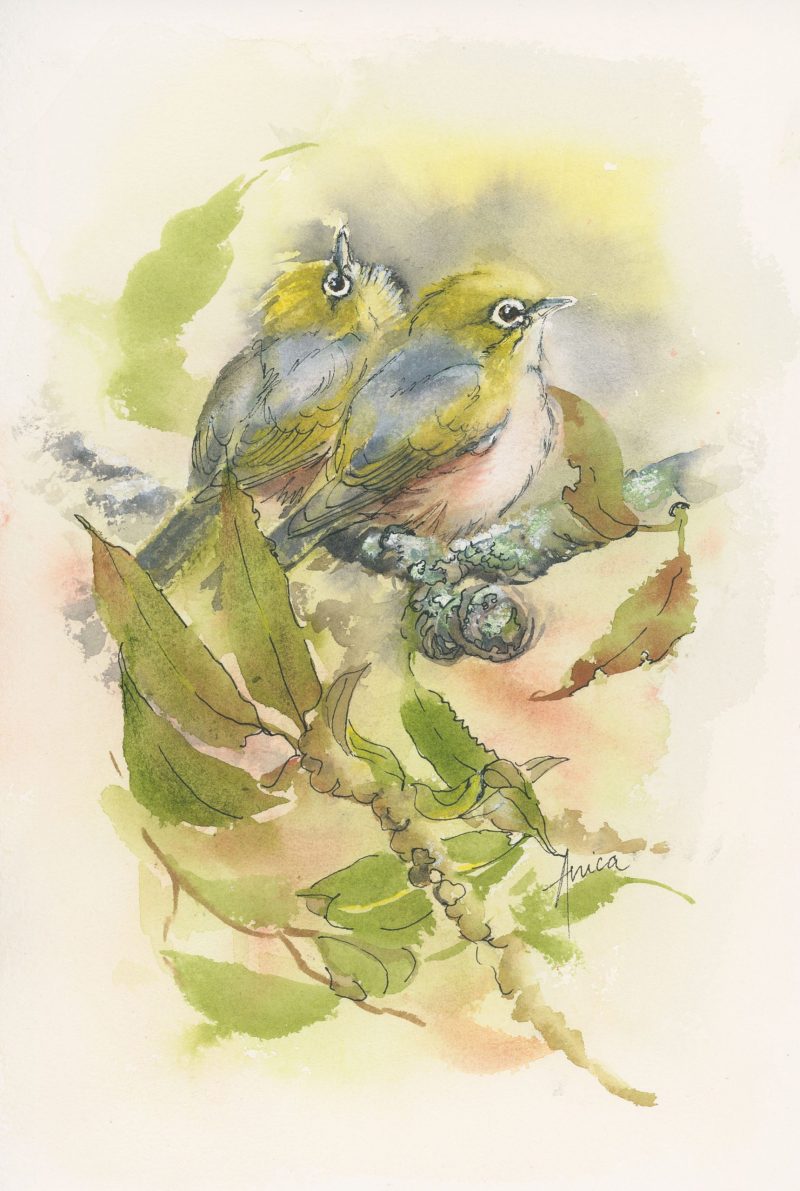 Peering Eyes - Art Lovers Australia