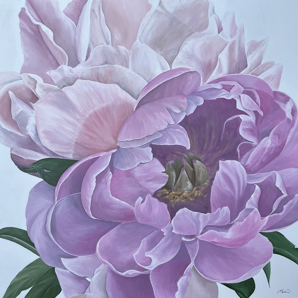 Peonies - SOLD - Art Lovers Australia