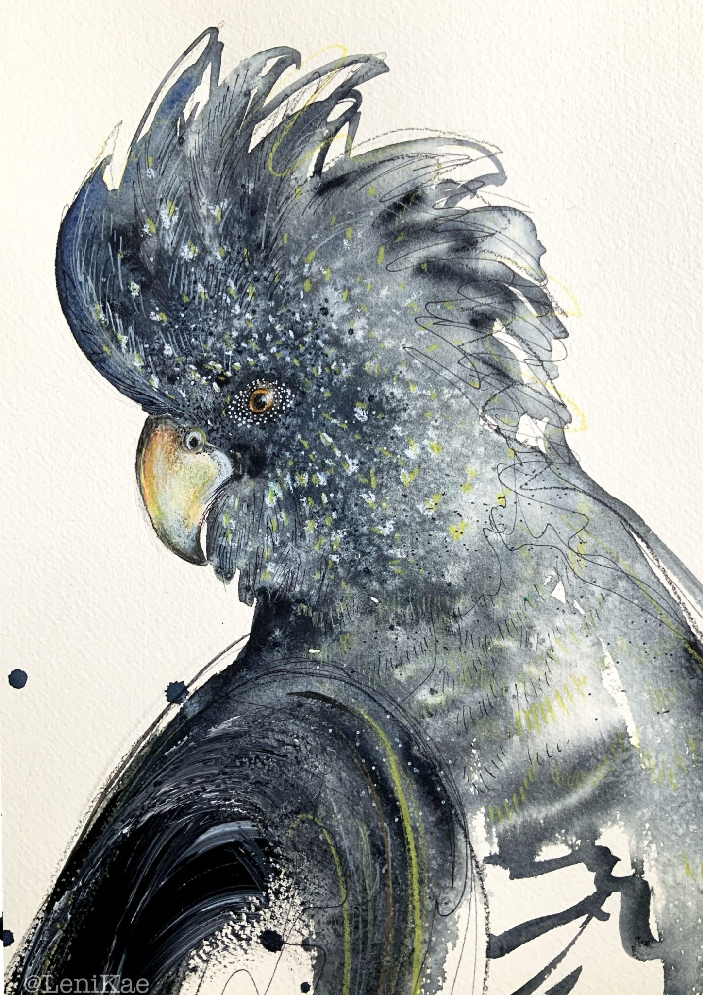 Black Cockatoo Spirit - Art Lovers Australia