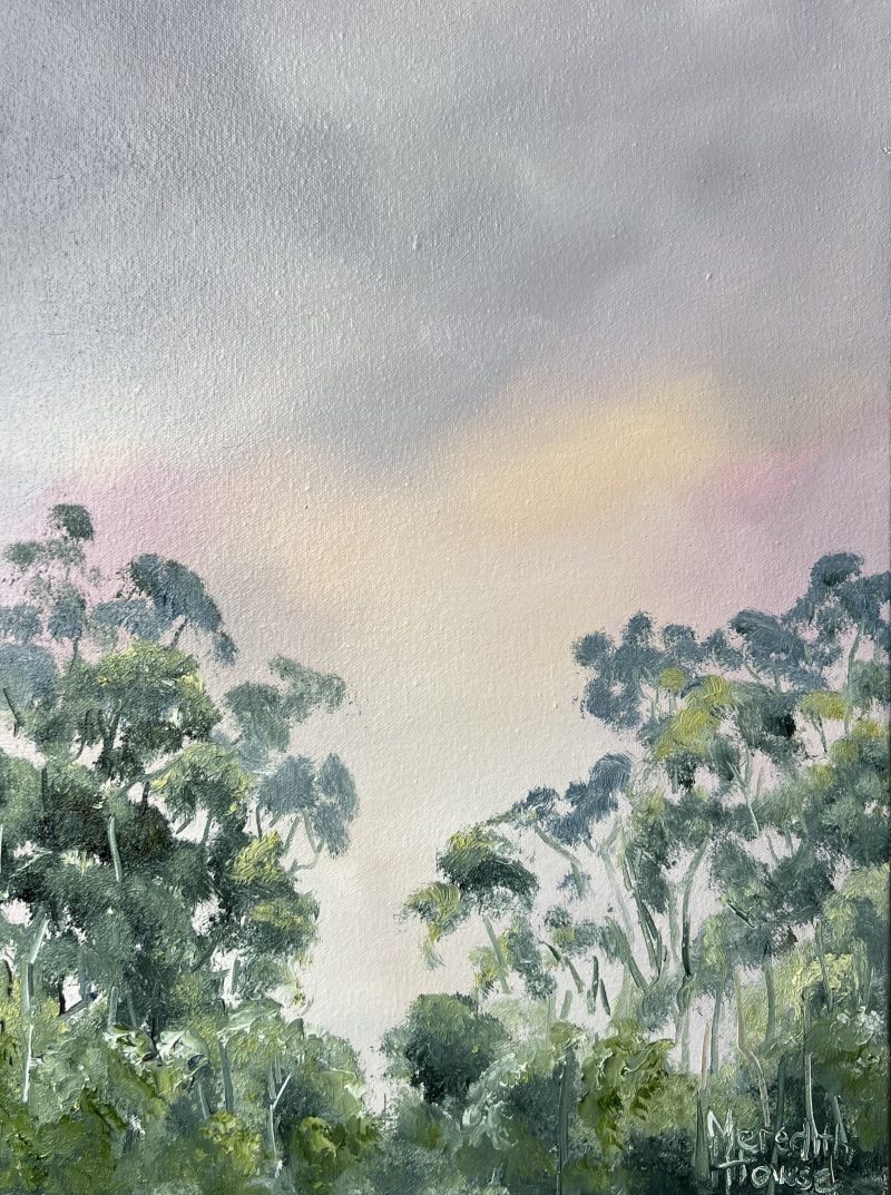 Meredith Howse Art - Buy Artwork Online - Art Lovers Australia