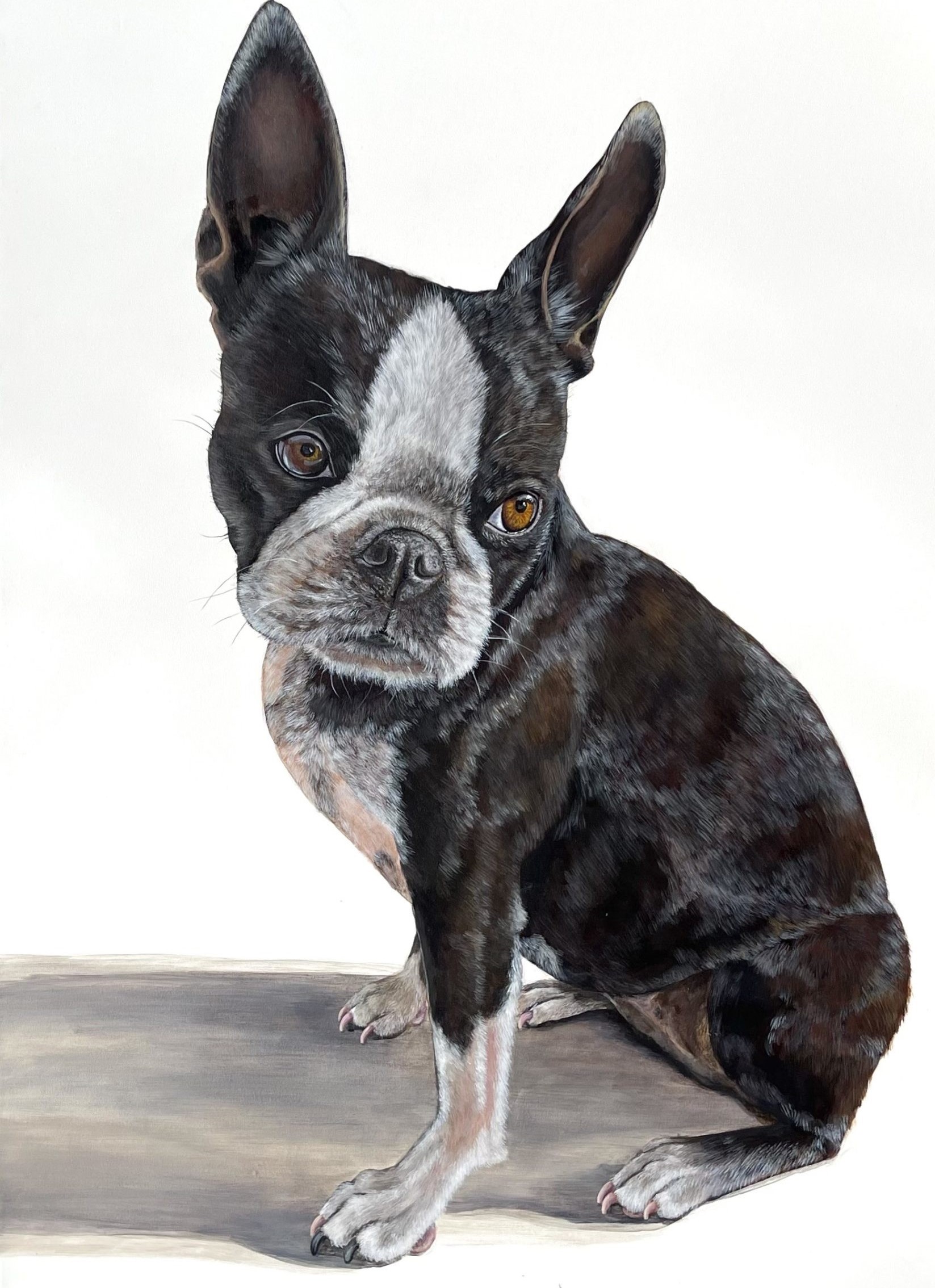 Fur and Feathers - Art Lovers Australia