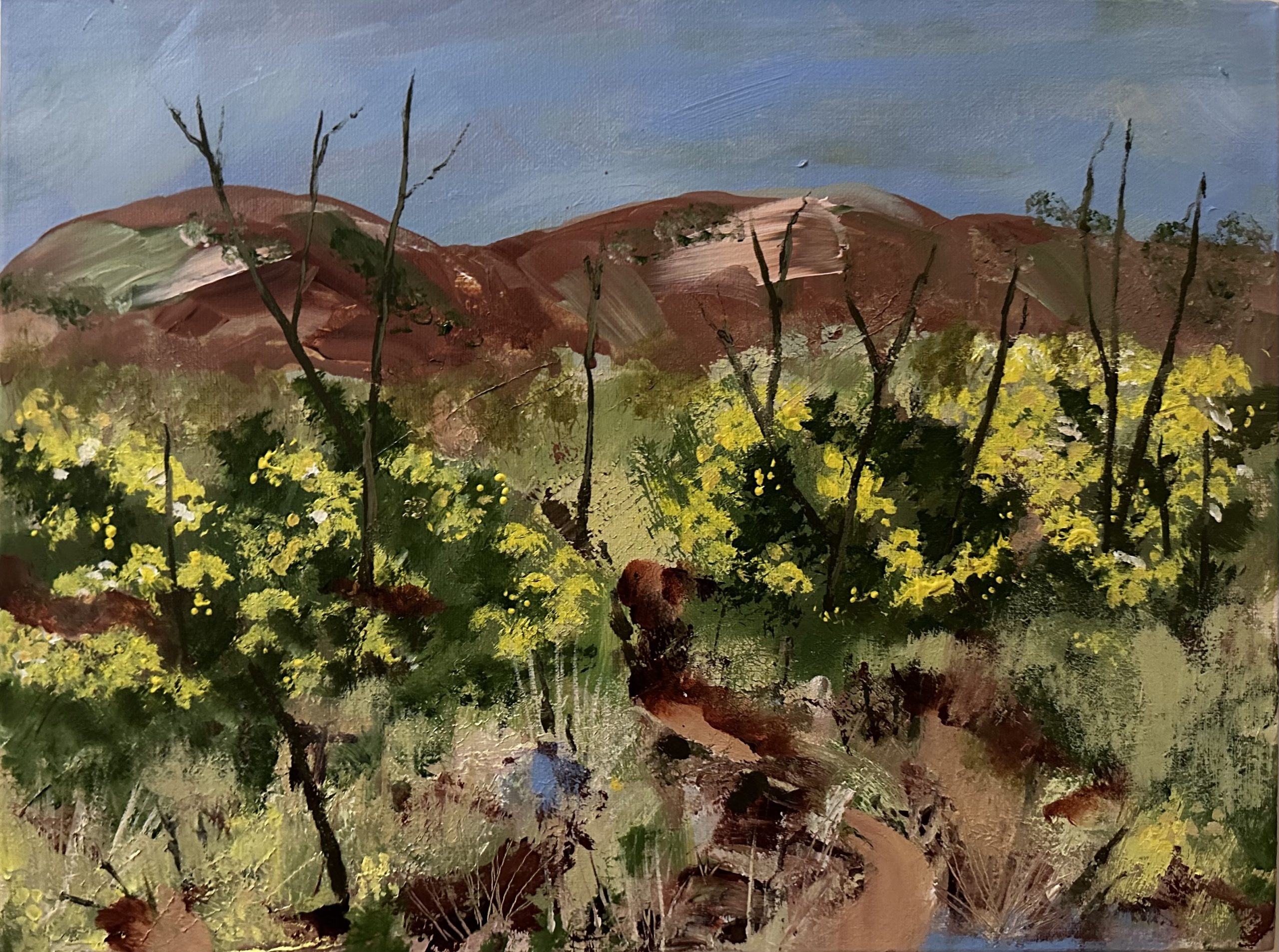 Pilbara travels in spring - Art Lovers Australia
