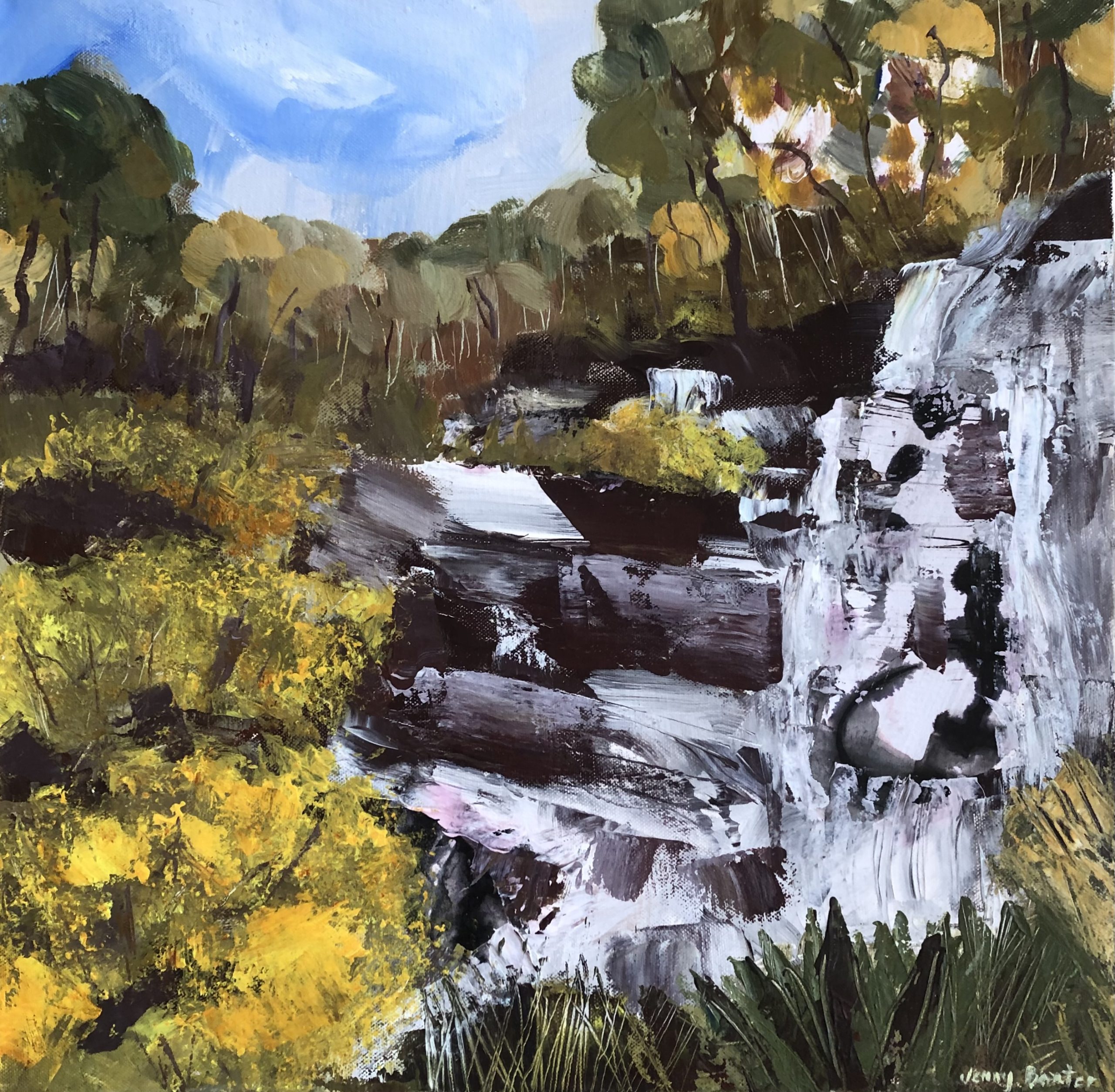 Waterfall and wattle - Art Lovers Australia
