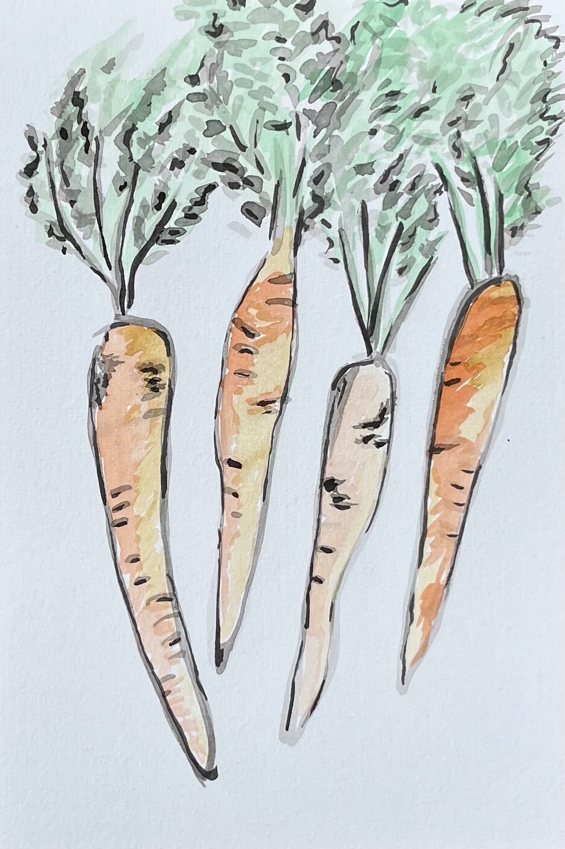 Heirloom Carrots - Art Lovers Australia