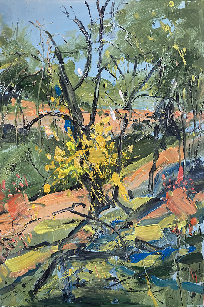 Last Wattle - Yandoit (Exclusive) - Art Lovers Australia