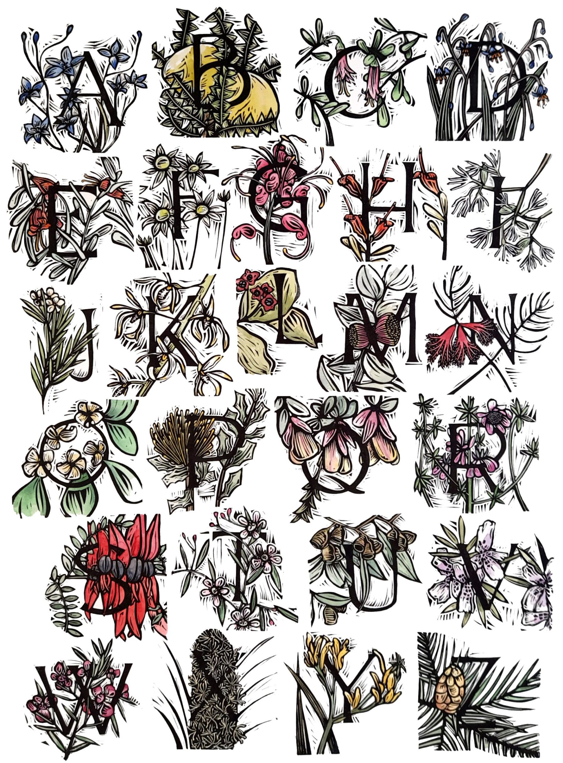 Australian Floral Alphabet in Colour - Art Lovers Australia