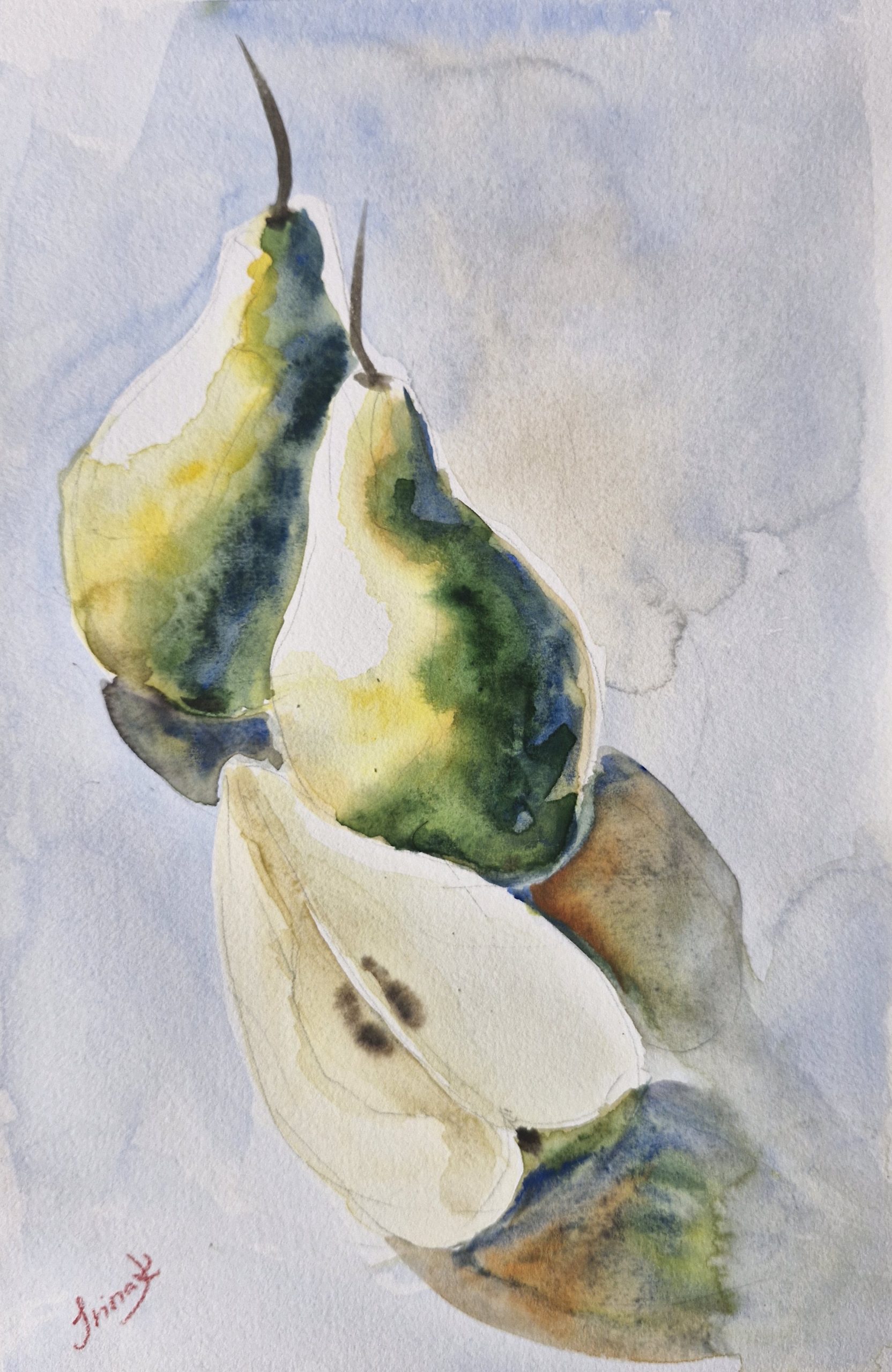 Sunlit - pears - Art Lovers Australia