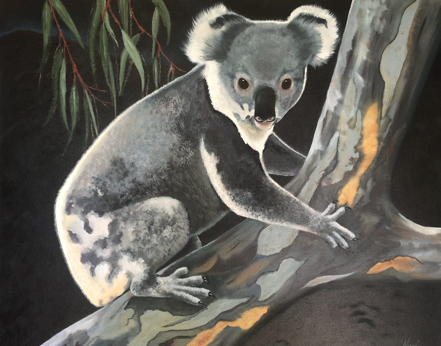 Lost Koala - Art Lovers Australia