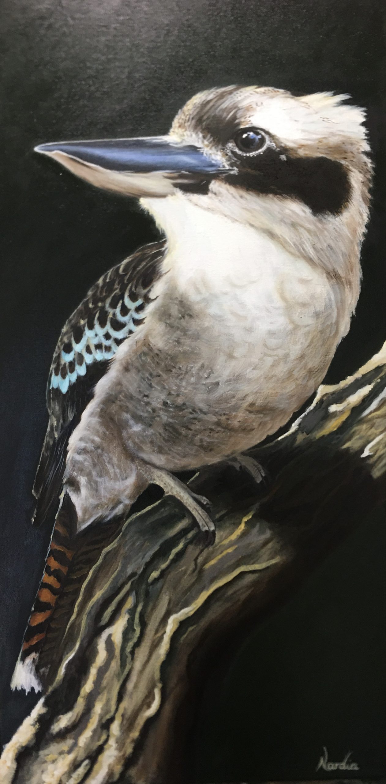 Kooka - Art Lovers Australia