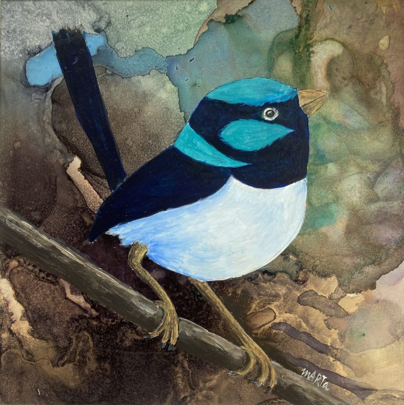 Blue Fairy Wrens - Art Lovers Australia