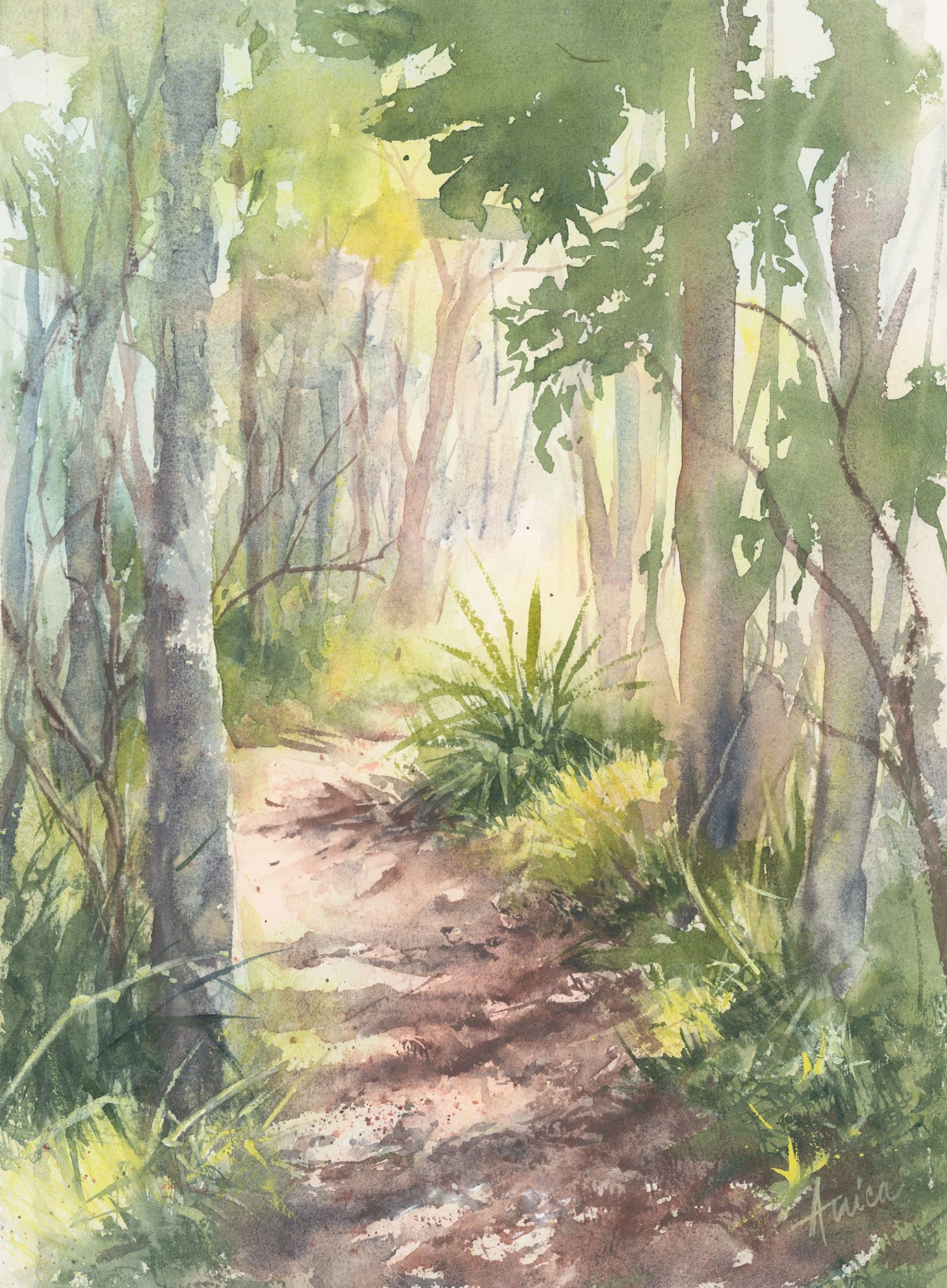 Narrawallee Inlet Track - Art Lovers Australia