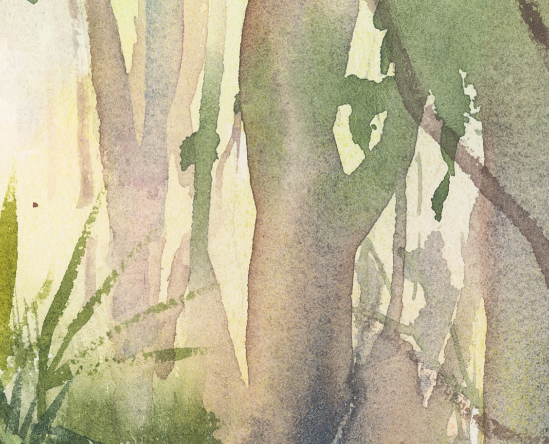 Narrawallee Inlet Track - Art Lovers Australia