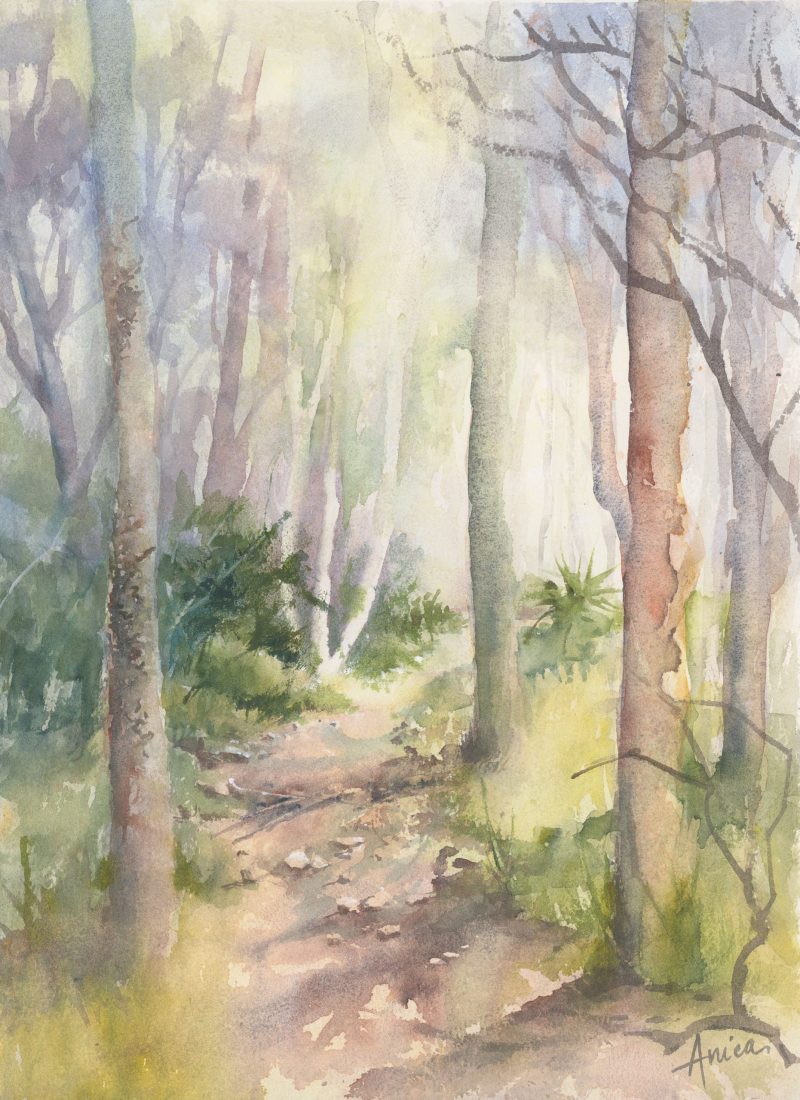 Narrawallee Inlet Track - Art Lovers Australia