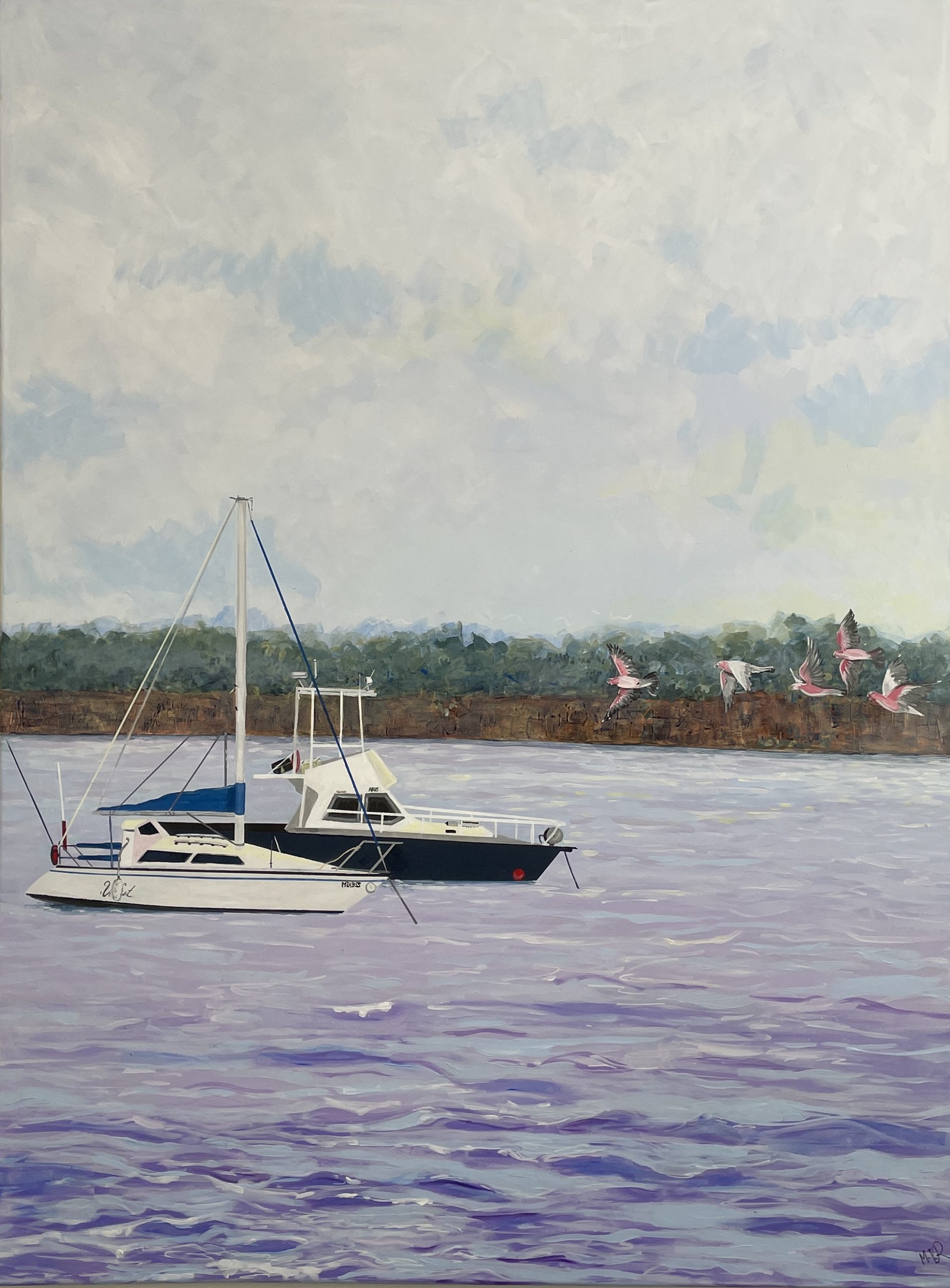 Moored boats in Coffin Bay - Art Lovers Australia